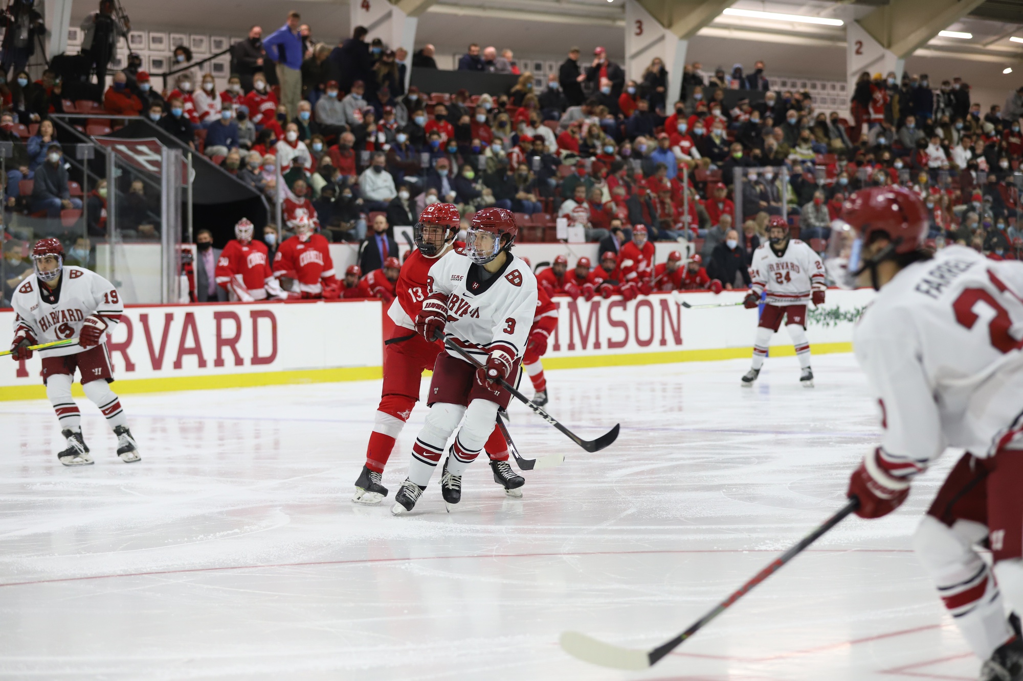 Crimson Claim Two Victories in Upstate New York | Sports | The Harvard ...