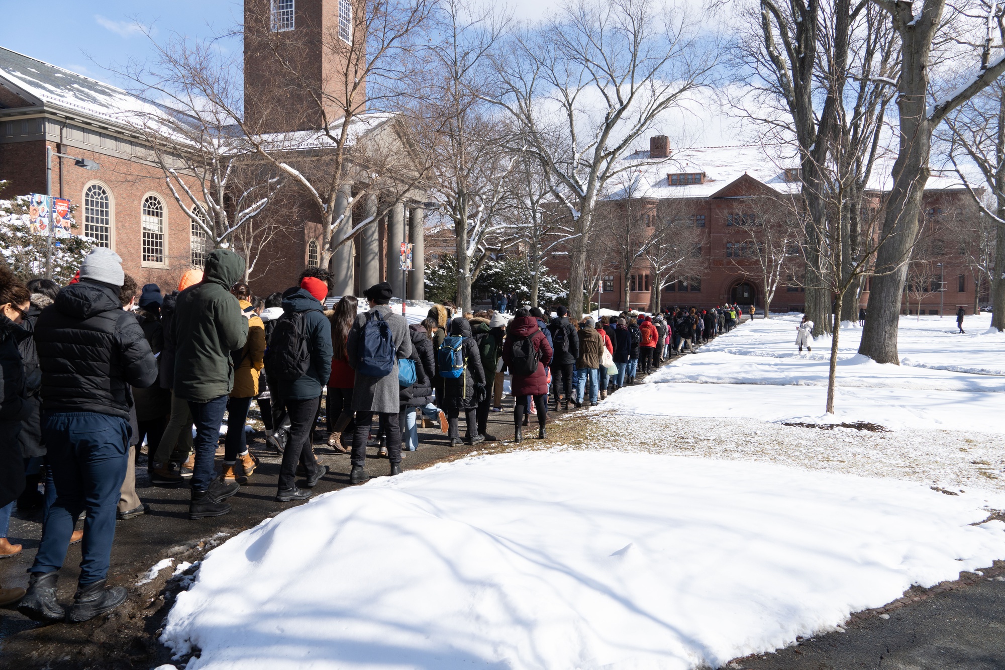 Hundreds Rally Against Harvard’s Handling Comaroff Sexual Harassment ...