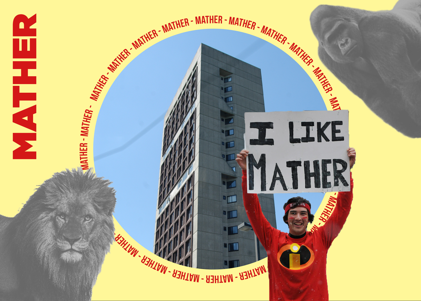 Mather 2022 Graphic | Flyby | The Harvard Crimson