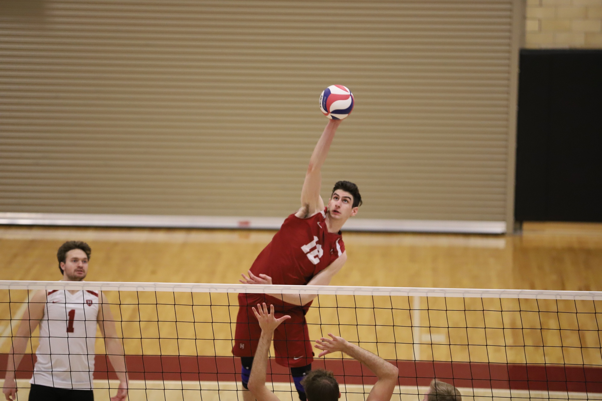 Harvard Men’s Volleyball Claims Ivy League Championship After Back-to ...