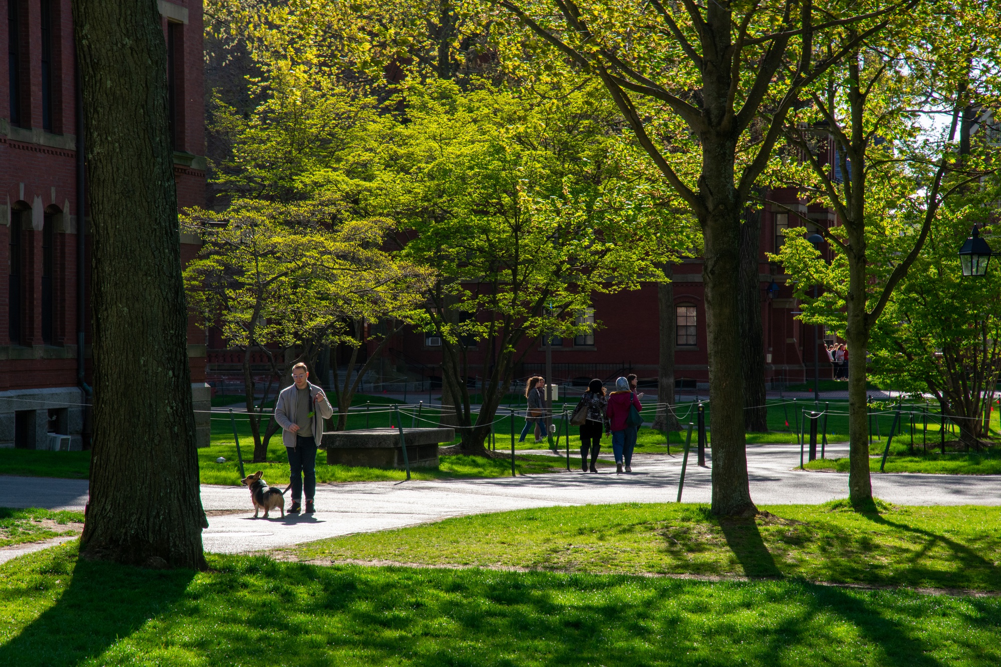 74 Harvard Undergraduates Awarded 2023 Hoopes Prize | News | The ...