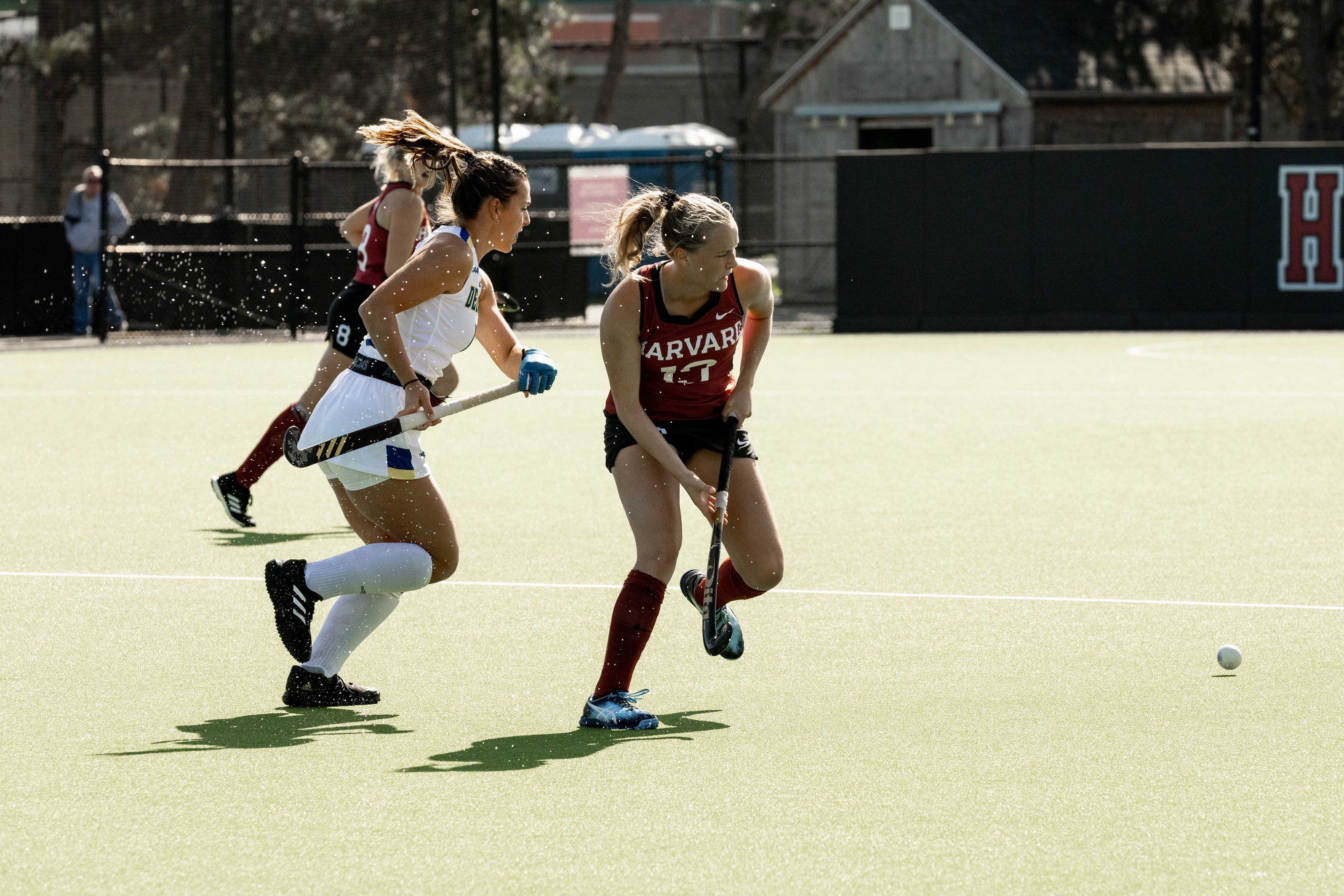 Harvard to Face Princeton Sunday in Ivy League Championship Decider ...