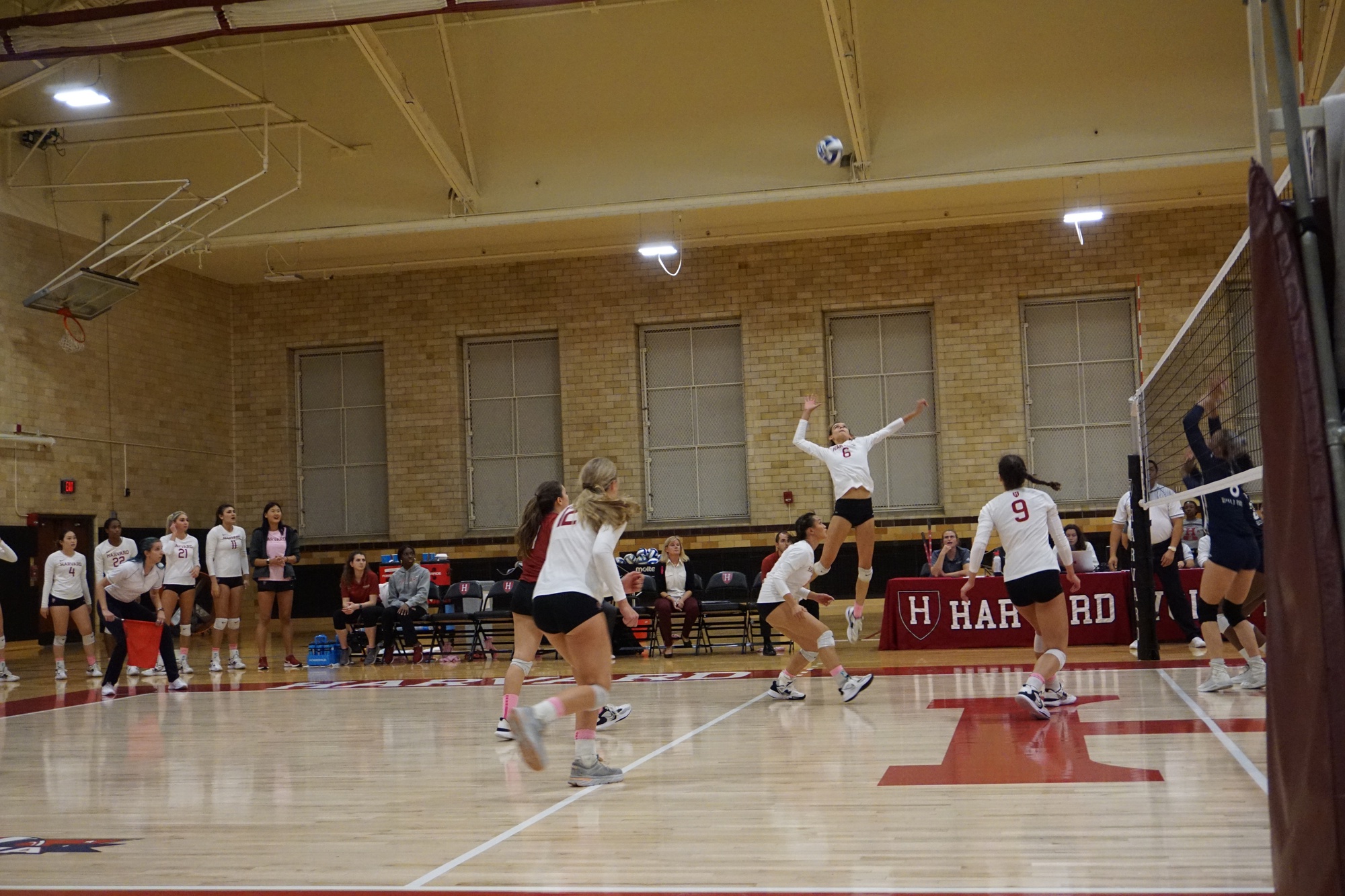 Harvard Women's Volleyball Beats Cornell and Columbia on New York Road ...