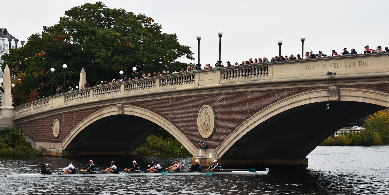 Head of The Charles Weeks Bridge | News | The Harvard Crimson