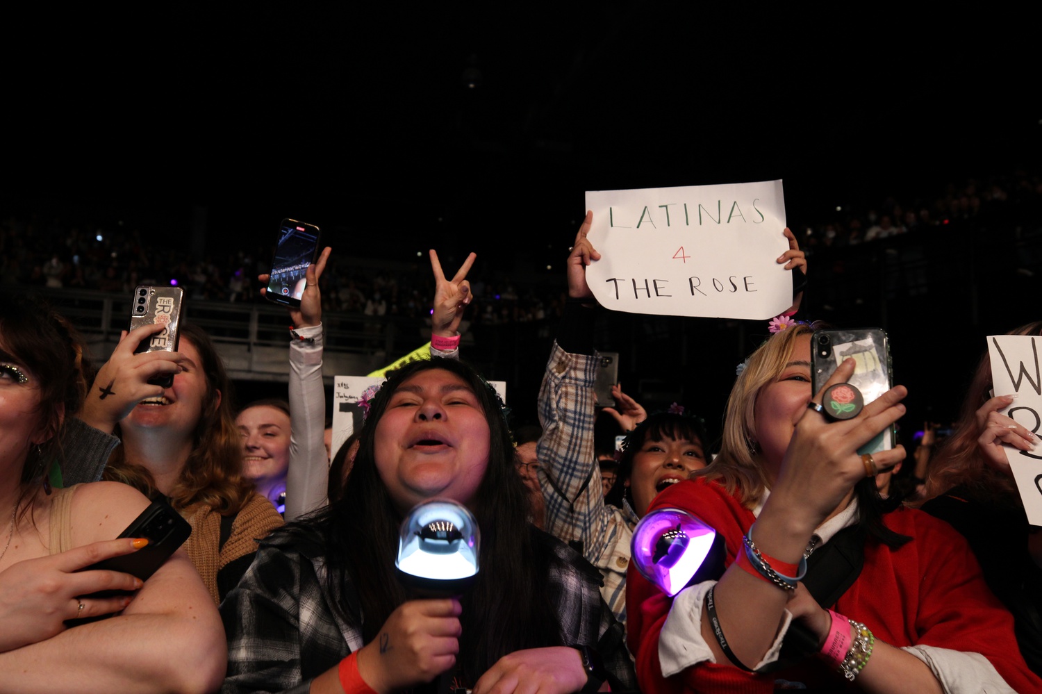 the rose concert boston image 4 | Arts | The Harvard Crimson