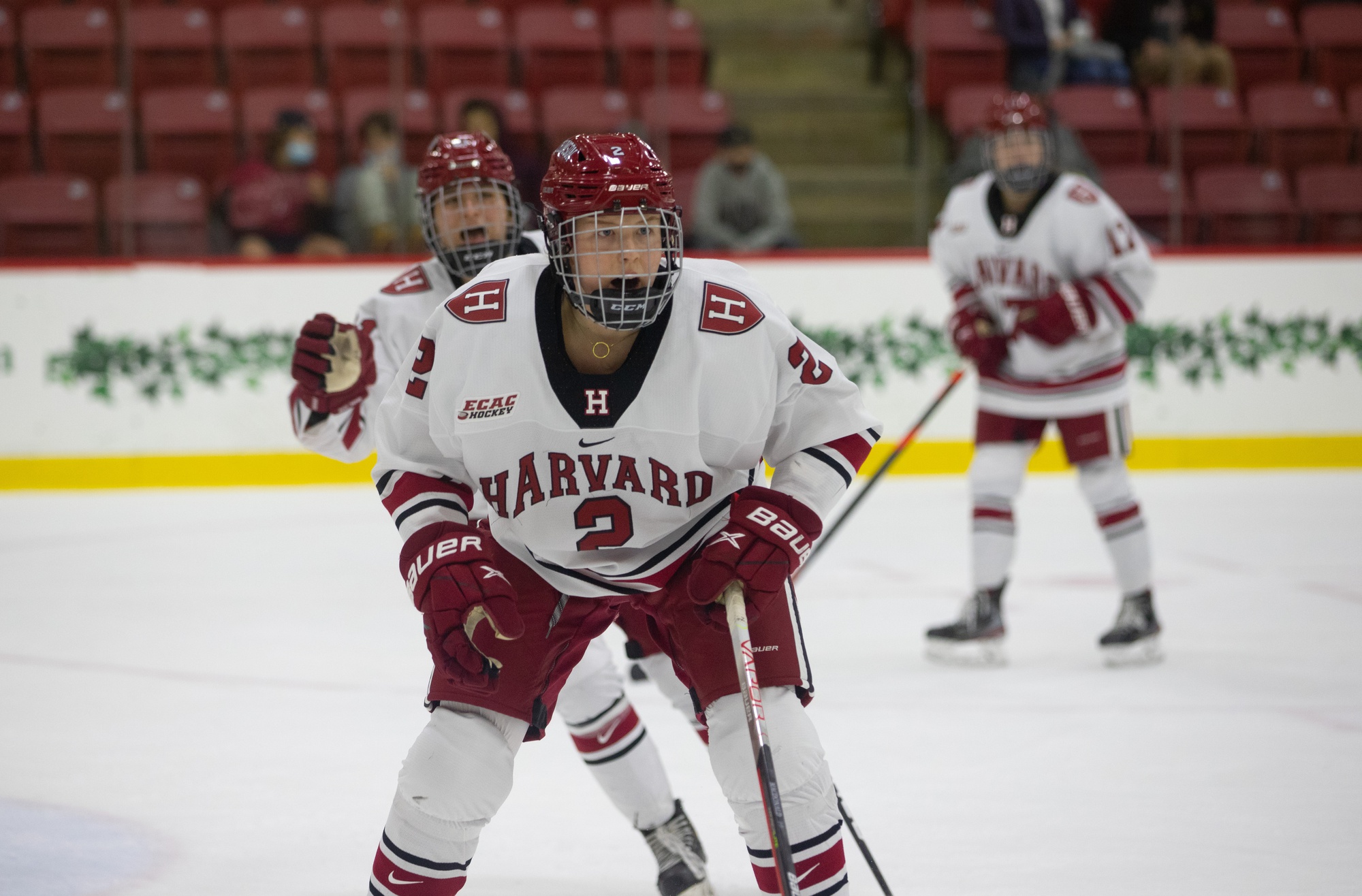 Harvard Women's Ice Hockey Struggles in Season-Opening Homestand ...