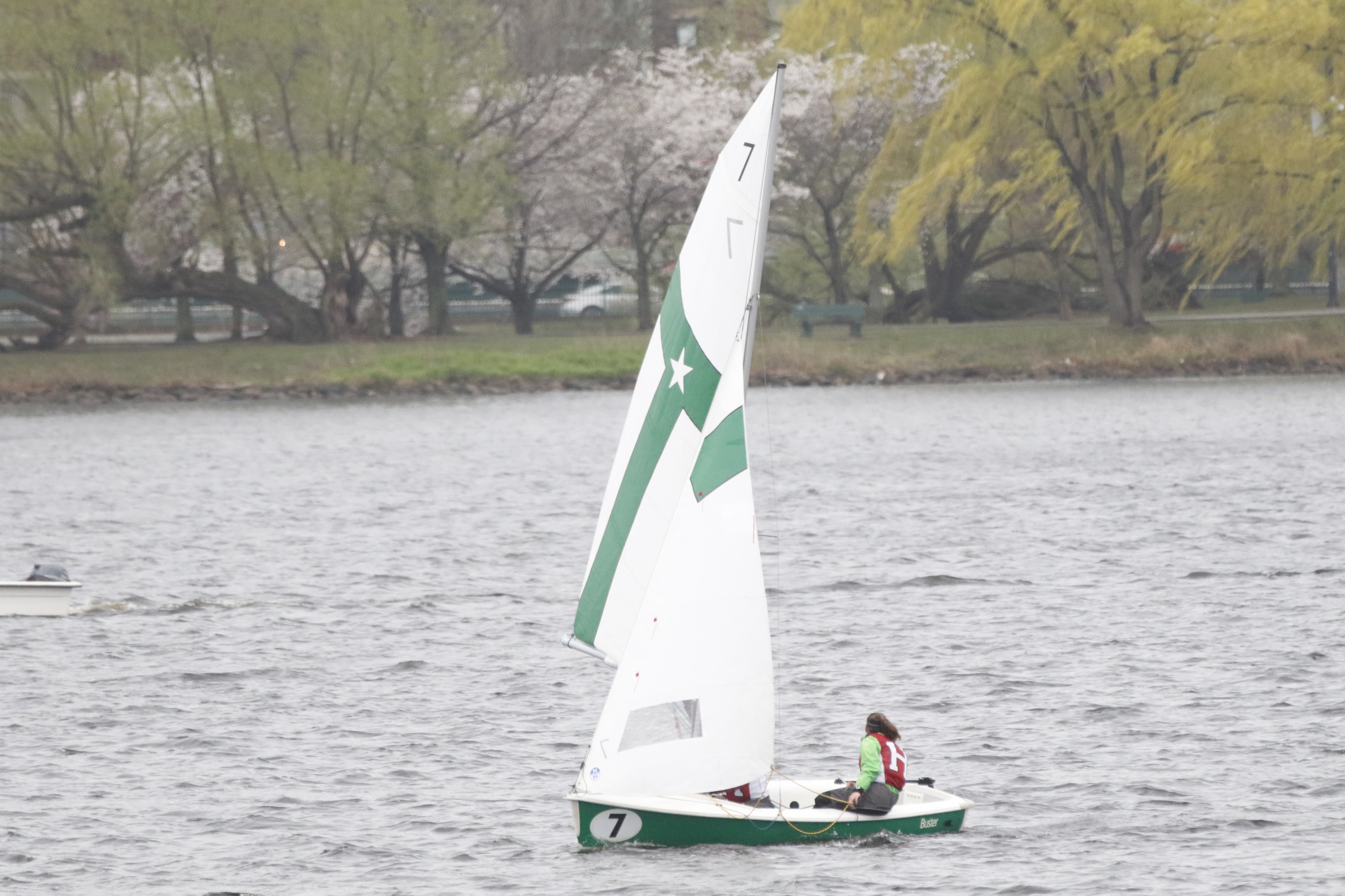 Harvard Sailing Comes Up Just Short at Weekend Regattas | Sports | The ...