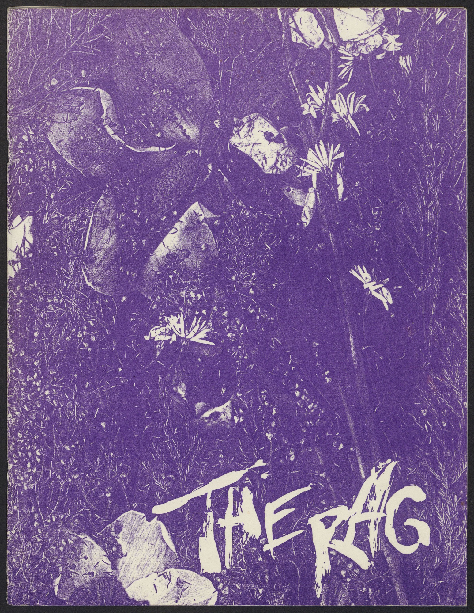 The Radical Feminist Magazine You've Never Heard of | Magazine | The ...