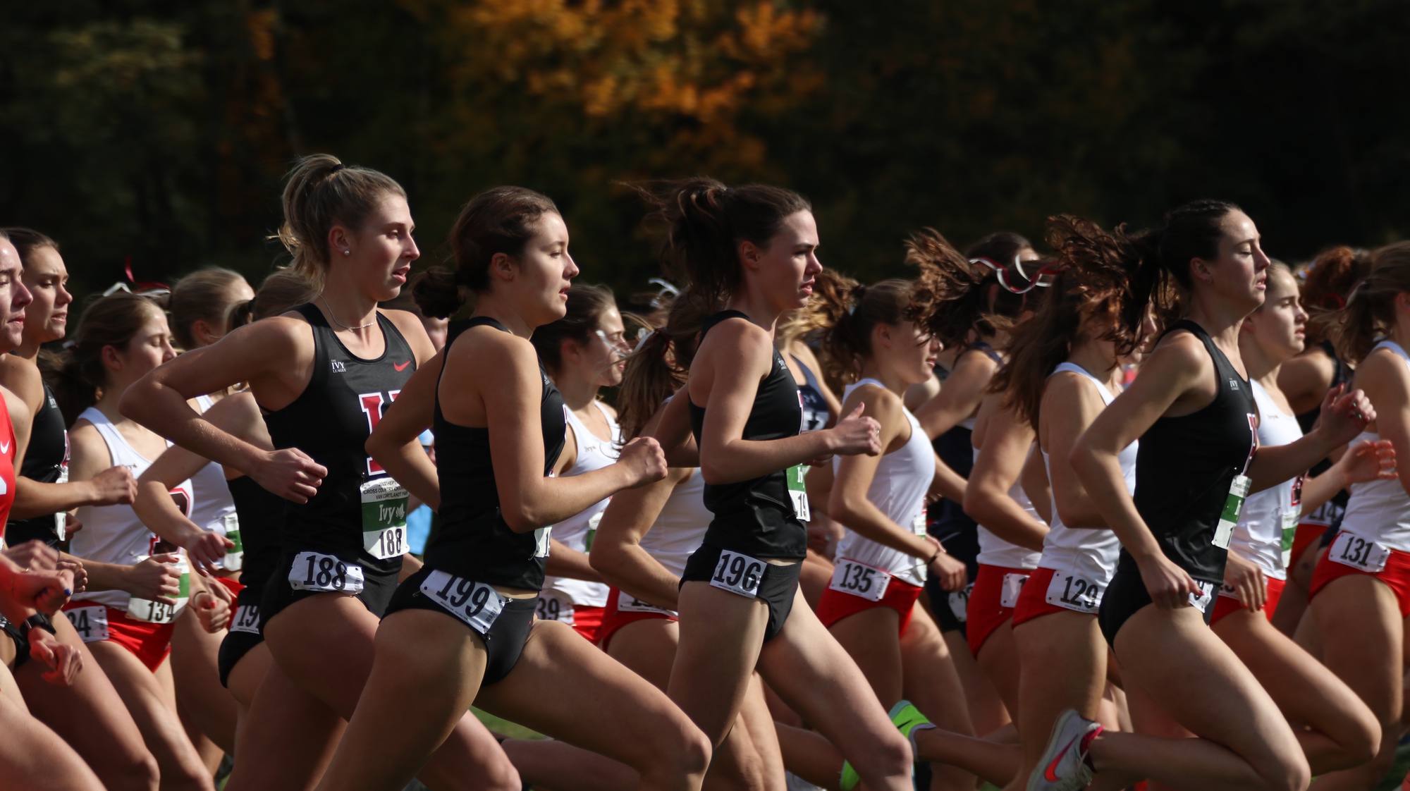 Graham Blanks, Maia Ramsden Earn All-American as Harvard Cross Country ...