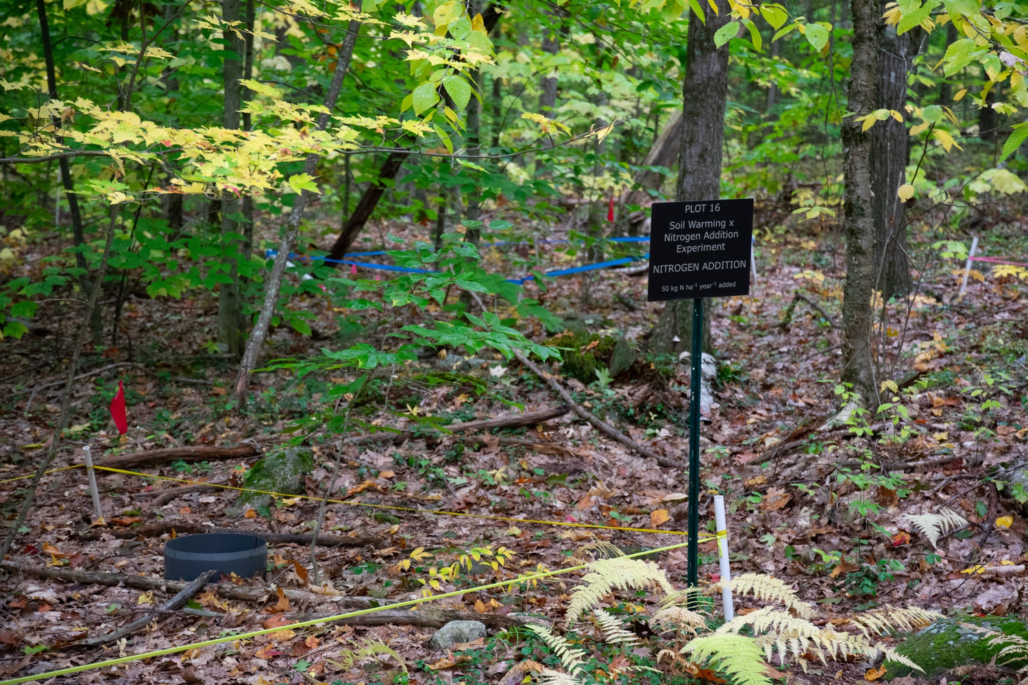 Harvard Forest Long Term Ecological Research | Multimedia | The Harvard ...