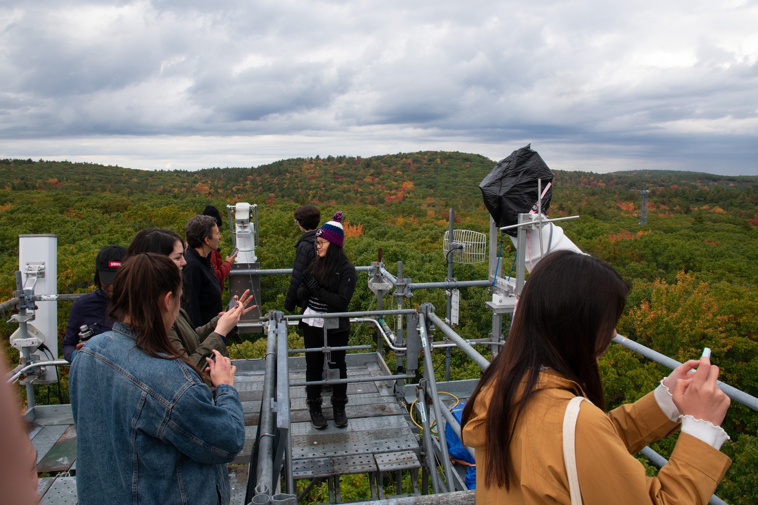 On Top of the Harvard Forest Hardwood Research Tower | Multimedia | The ...