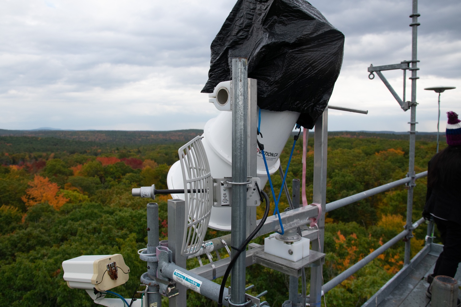 Harvard Forest Research Tower Equipment | Multimedia | The Harvard Crimson