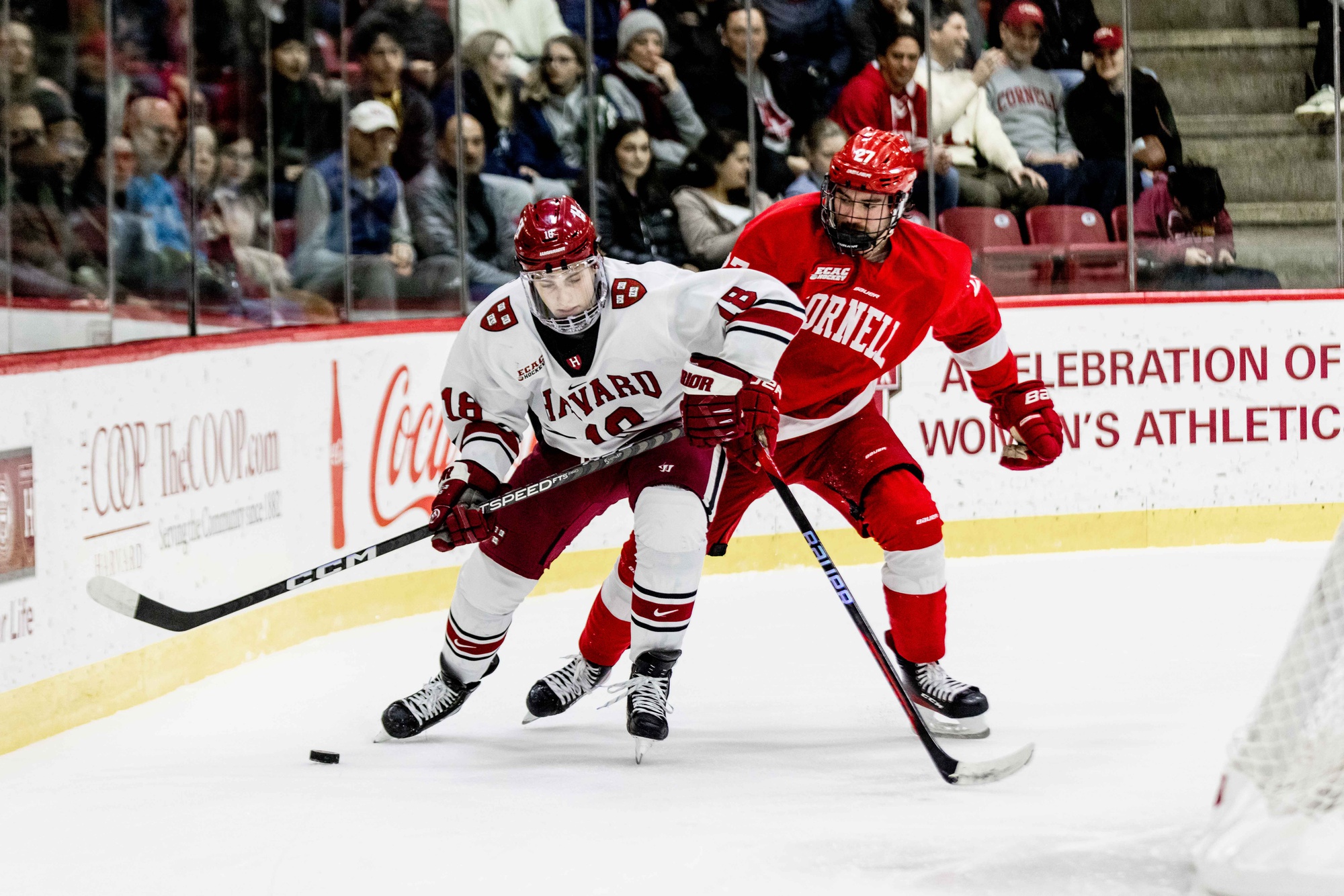 No. 8 Harvard Men’s Ice Hockey Falls to No. 2 Quinnipiac, Shifts Focus ...