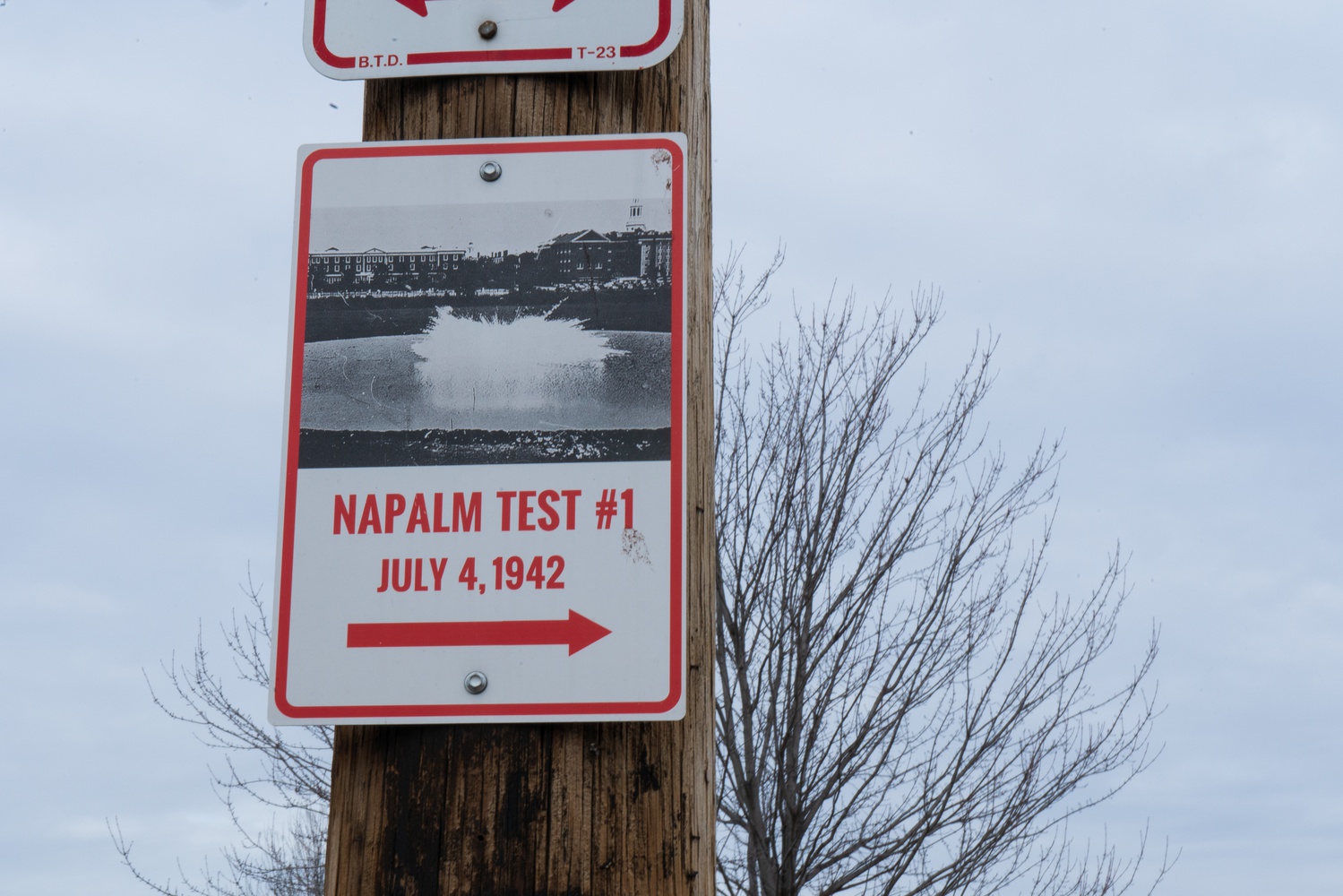 Napalm Sign Close Up Cover Image | Magazine | The Harvard Crimson