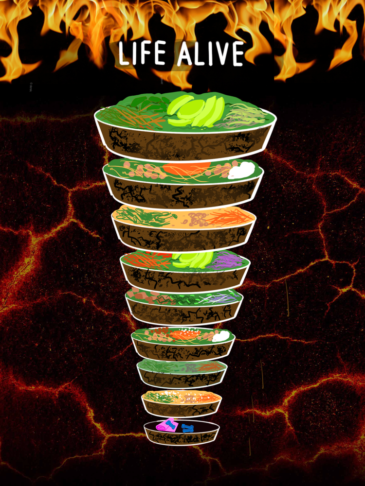 Life Alive Hell | Magazine | The Harvard Crimson