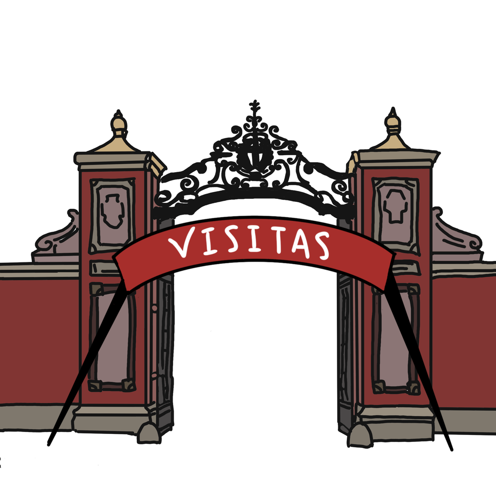 make the most of visitas! | Flyby | The Harvard Crimson