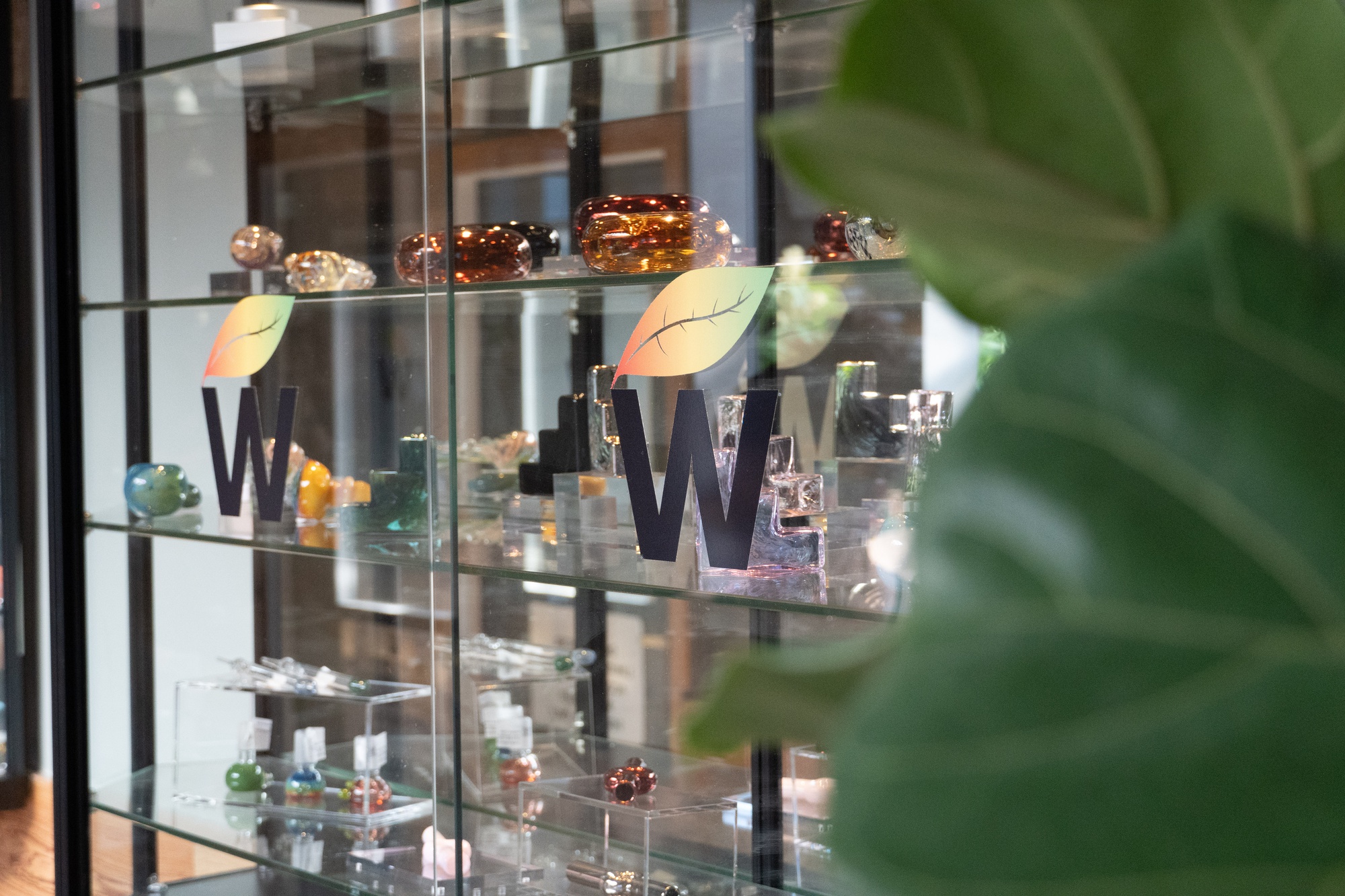 With High Hopes, Western Front Cannabis Dispensary Opens in Harvard ...