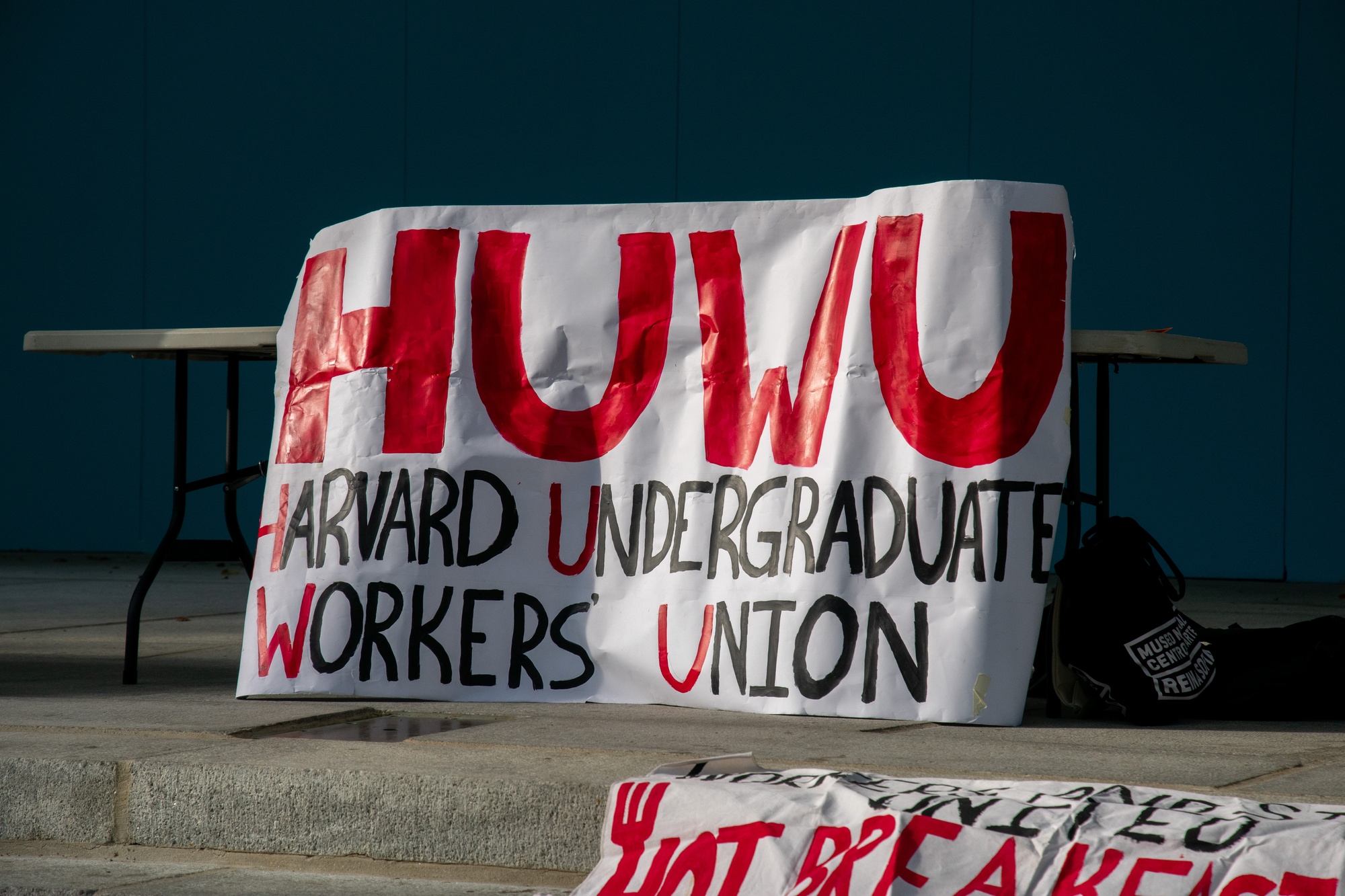 Harvard Undergrad Workers Union Struggles to Fill Bargaining Committee ...