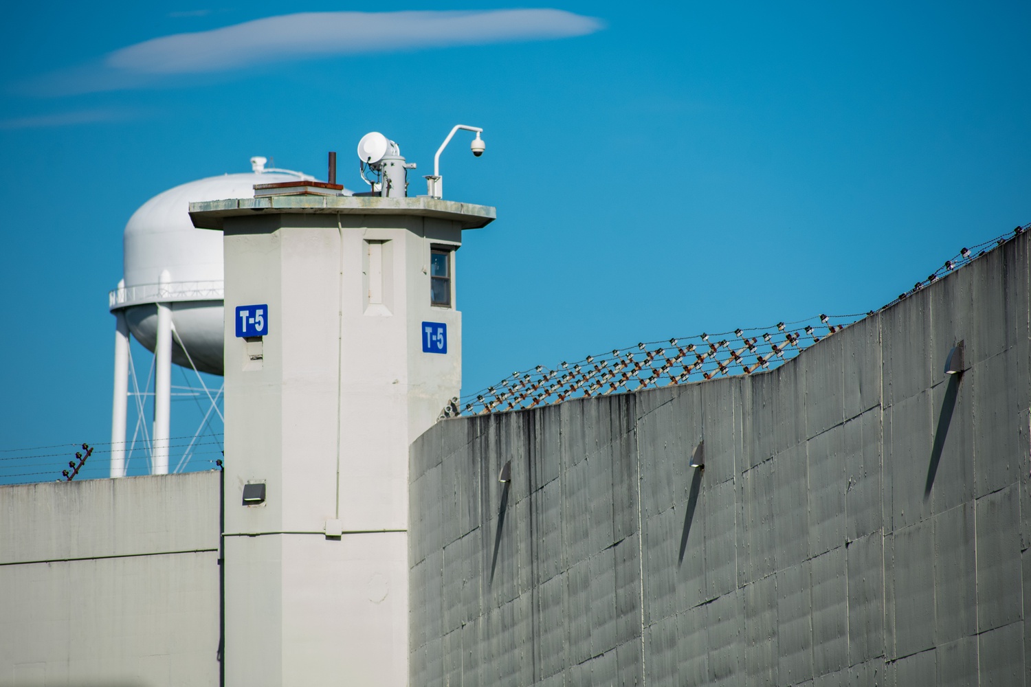 Walpole Today: The Whale | Magazine | The Harvard Crimson