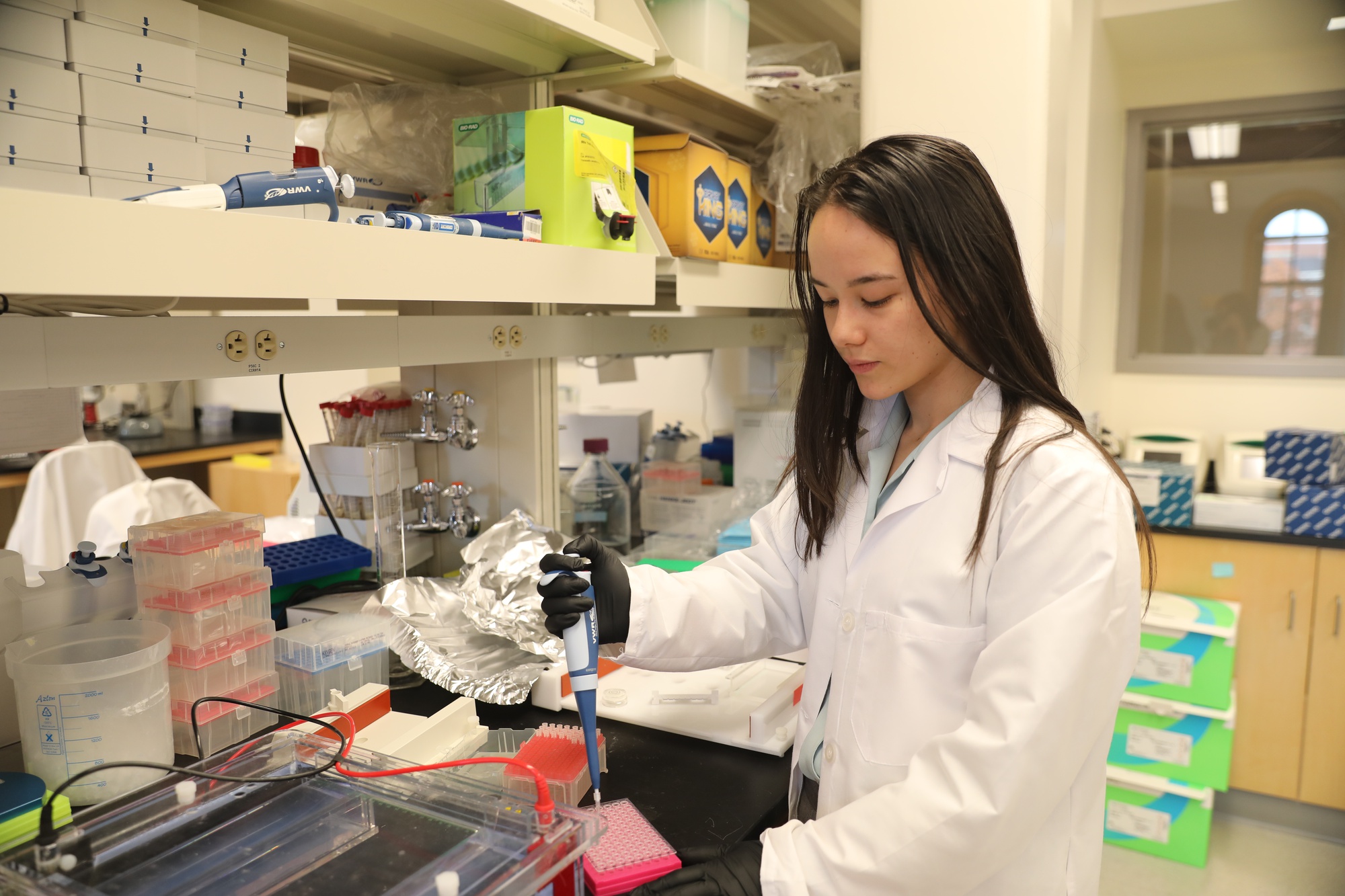 Renaissance Person: Mira-Rose Kingsbury Lee | Magazine | The Harvard ...