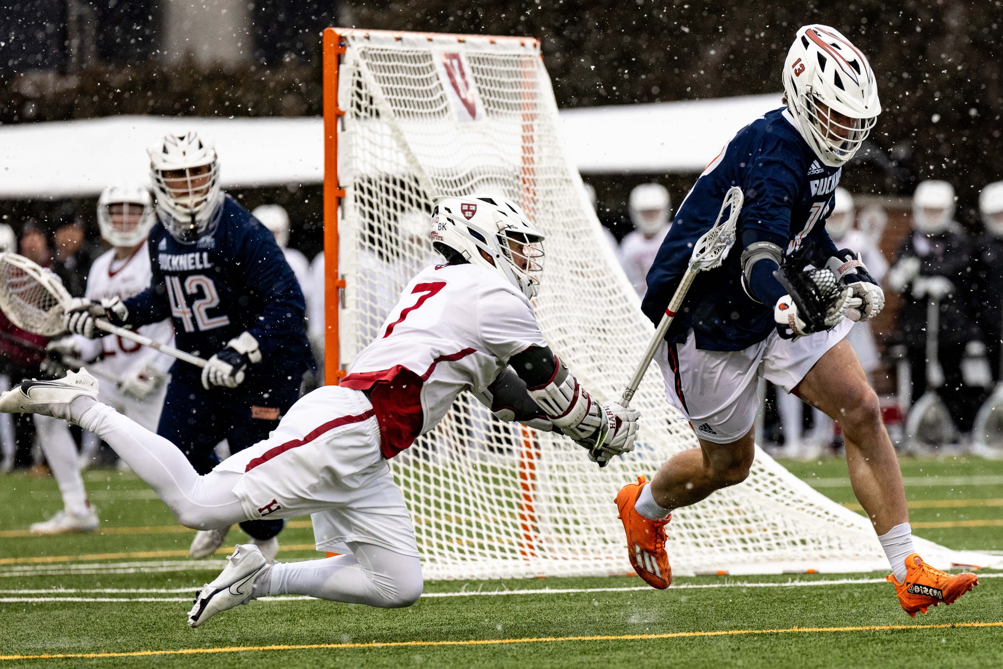 Men’s Lacrosse Narrowly Bests Providence 12-10 | Sports | The Harvard ...