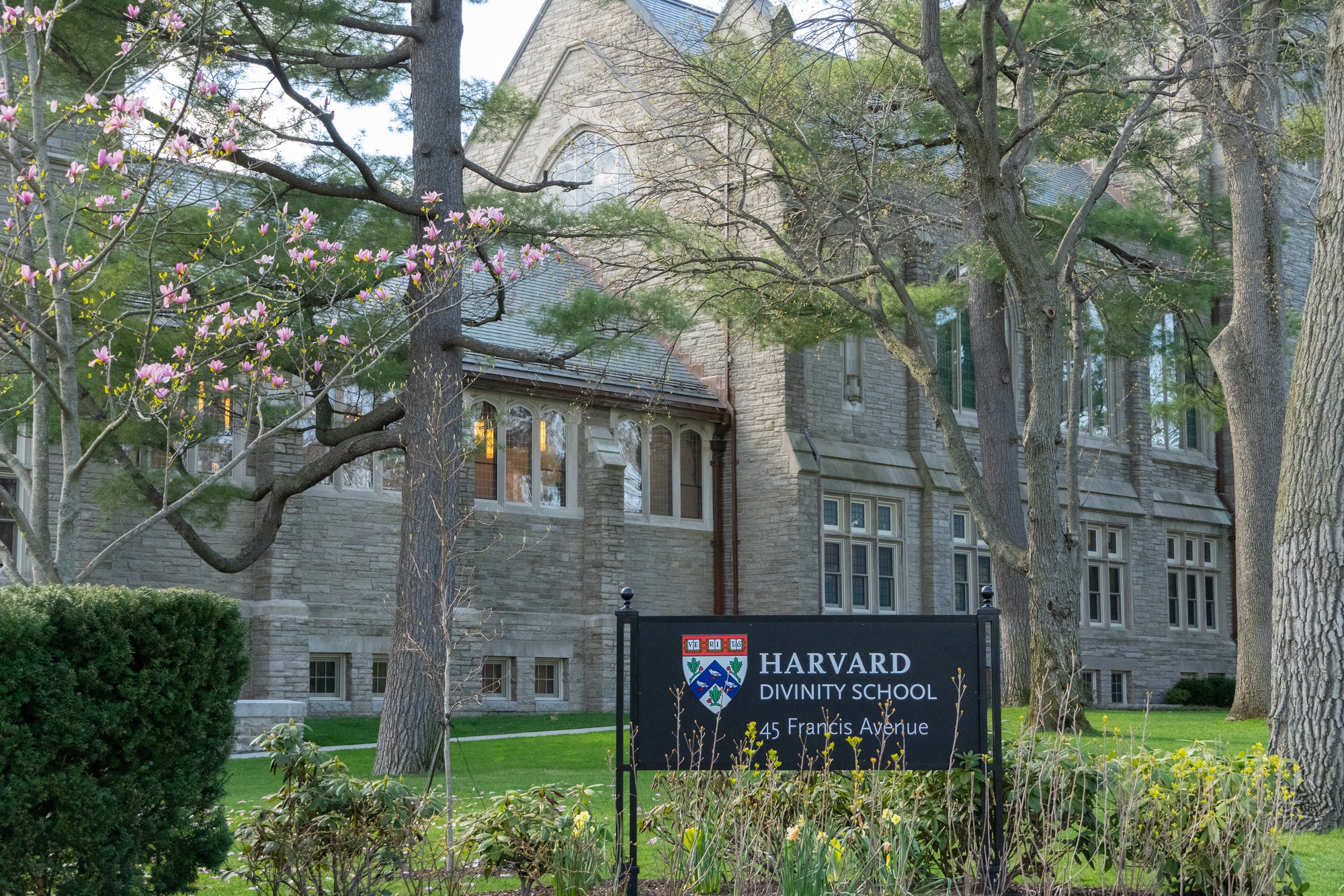 Harvard Dismantled the Program That Changed My Life | Opinion | The ...