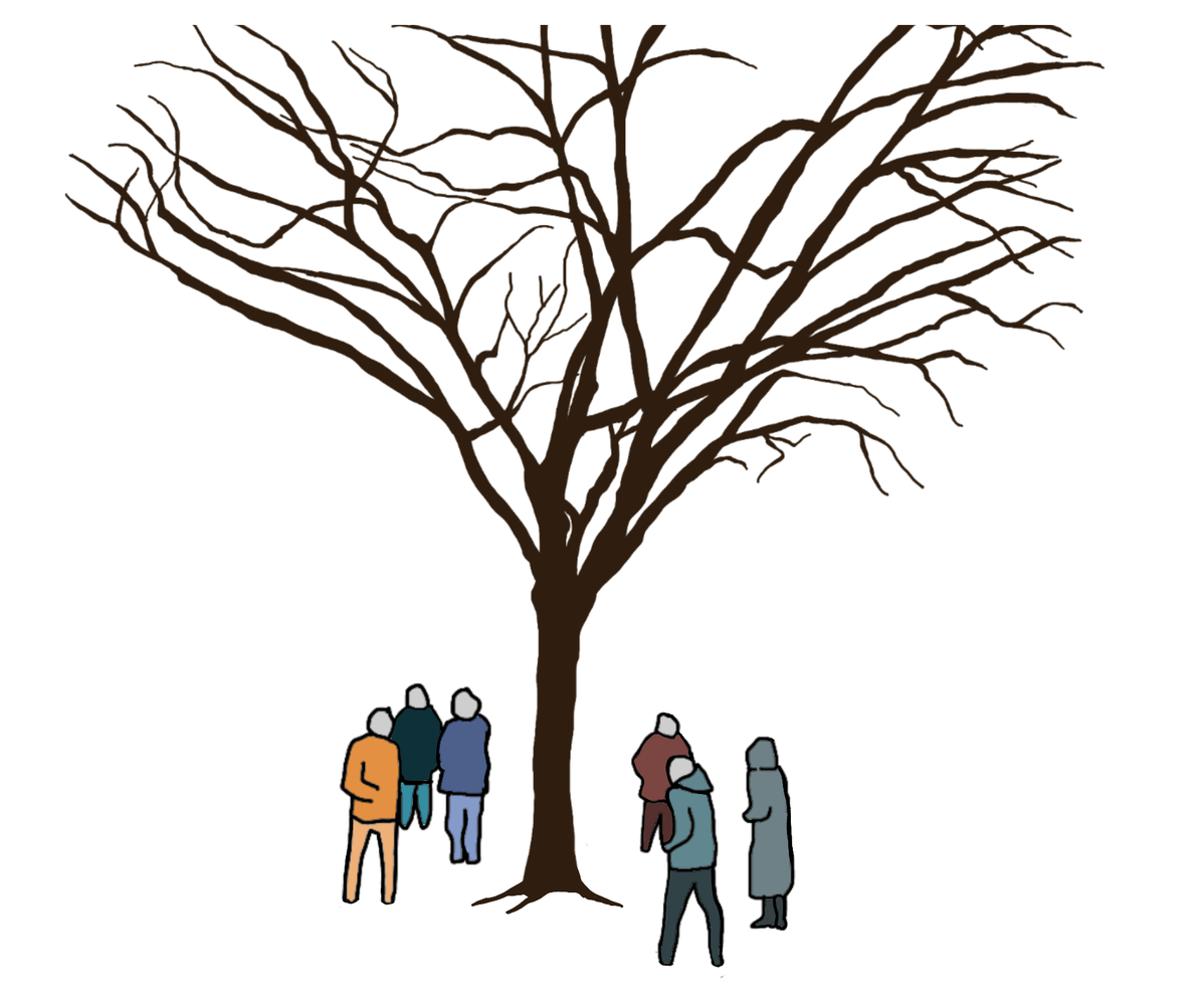 Divinity Tree | Opinion | The Harvard Crimson