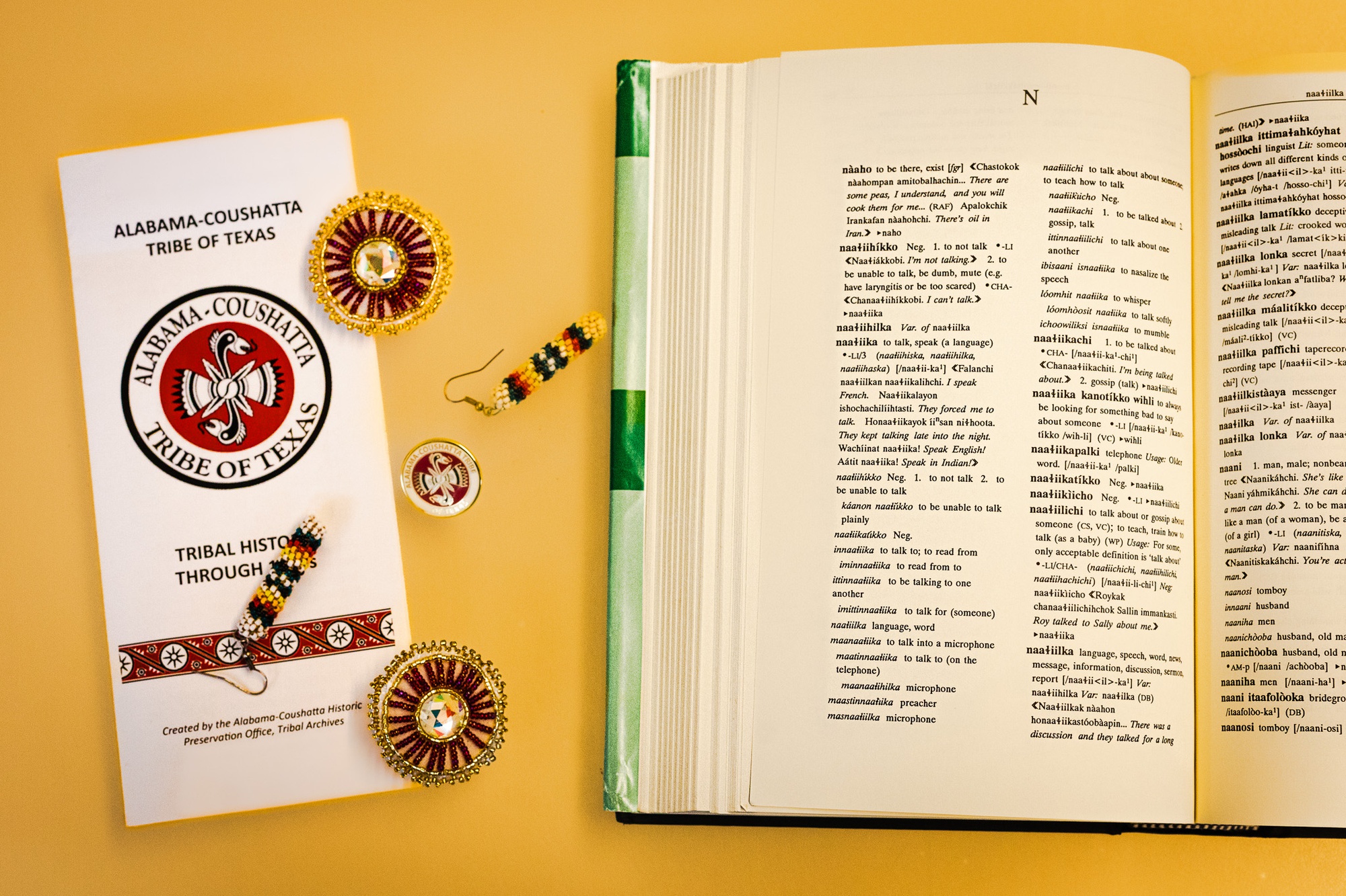 ‘I Want People to Know It’: Ava E. Silva ’27 Works to Preserve the ...