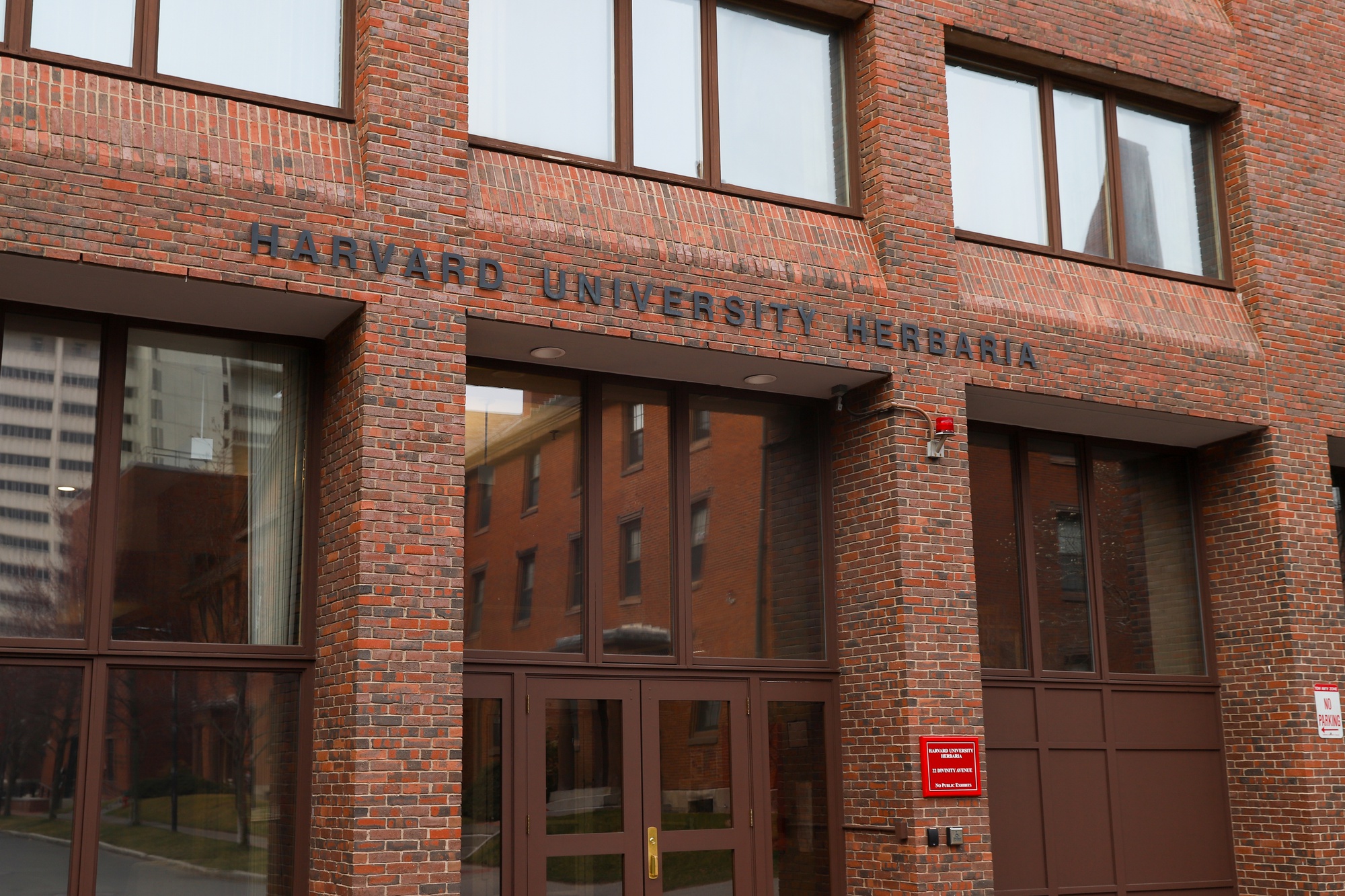 Luxury Brands Will Fund Harvard Lab’s Medicinal Plant Research in 3 ...