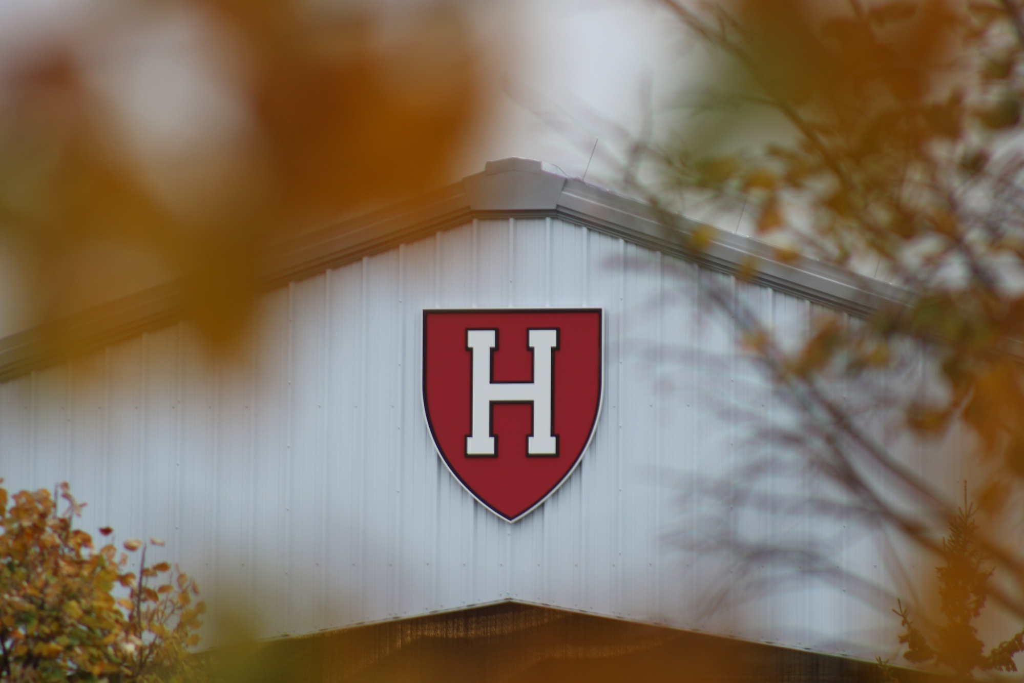‘All in Good Fun’: Camaraderie and Competition in Harvard’s Club and ...