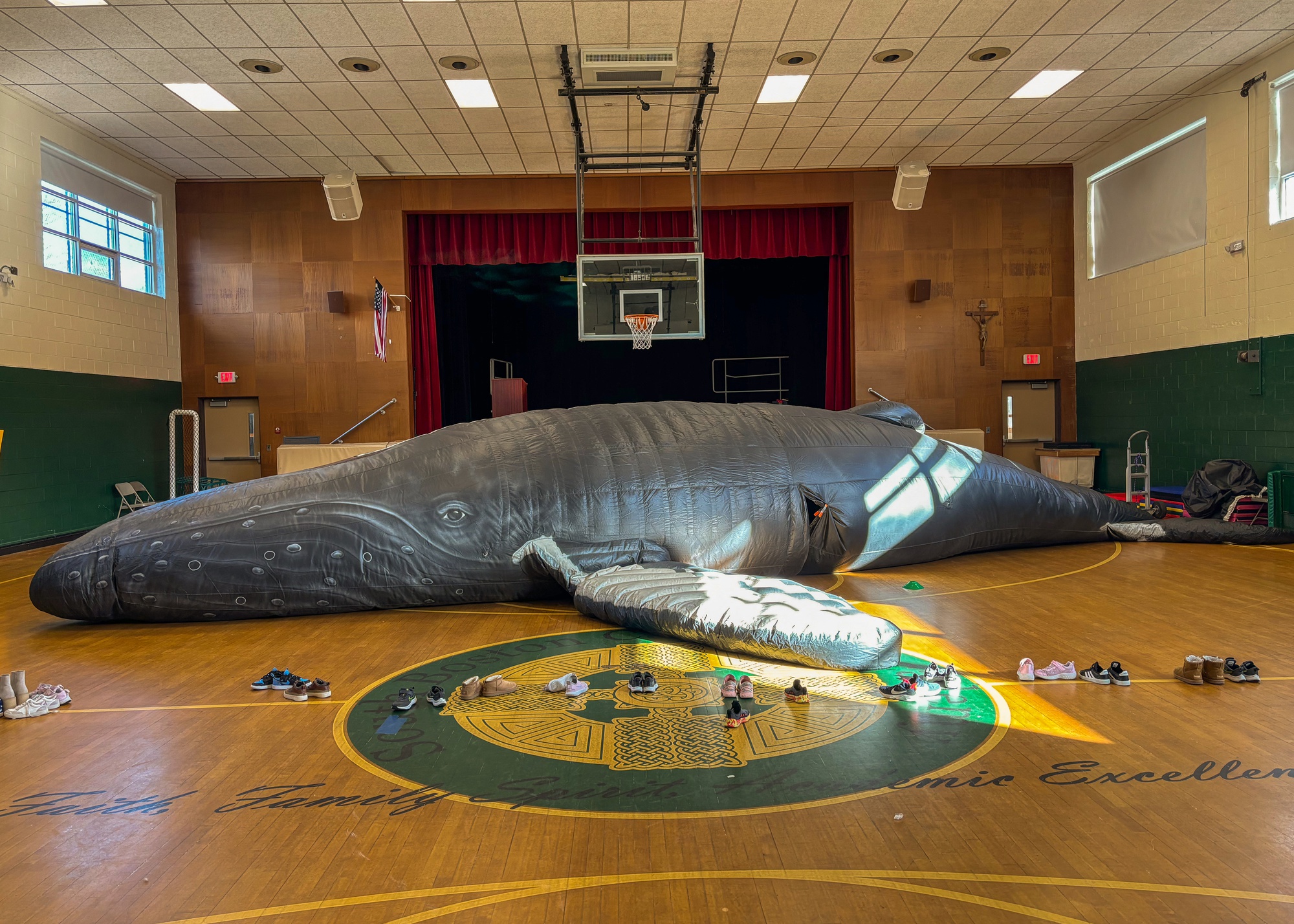 Whalemobile Makes a Splash: The Huge, Inflatable Whale that May be ...