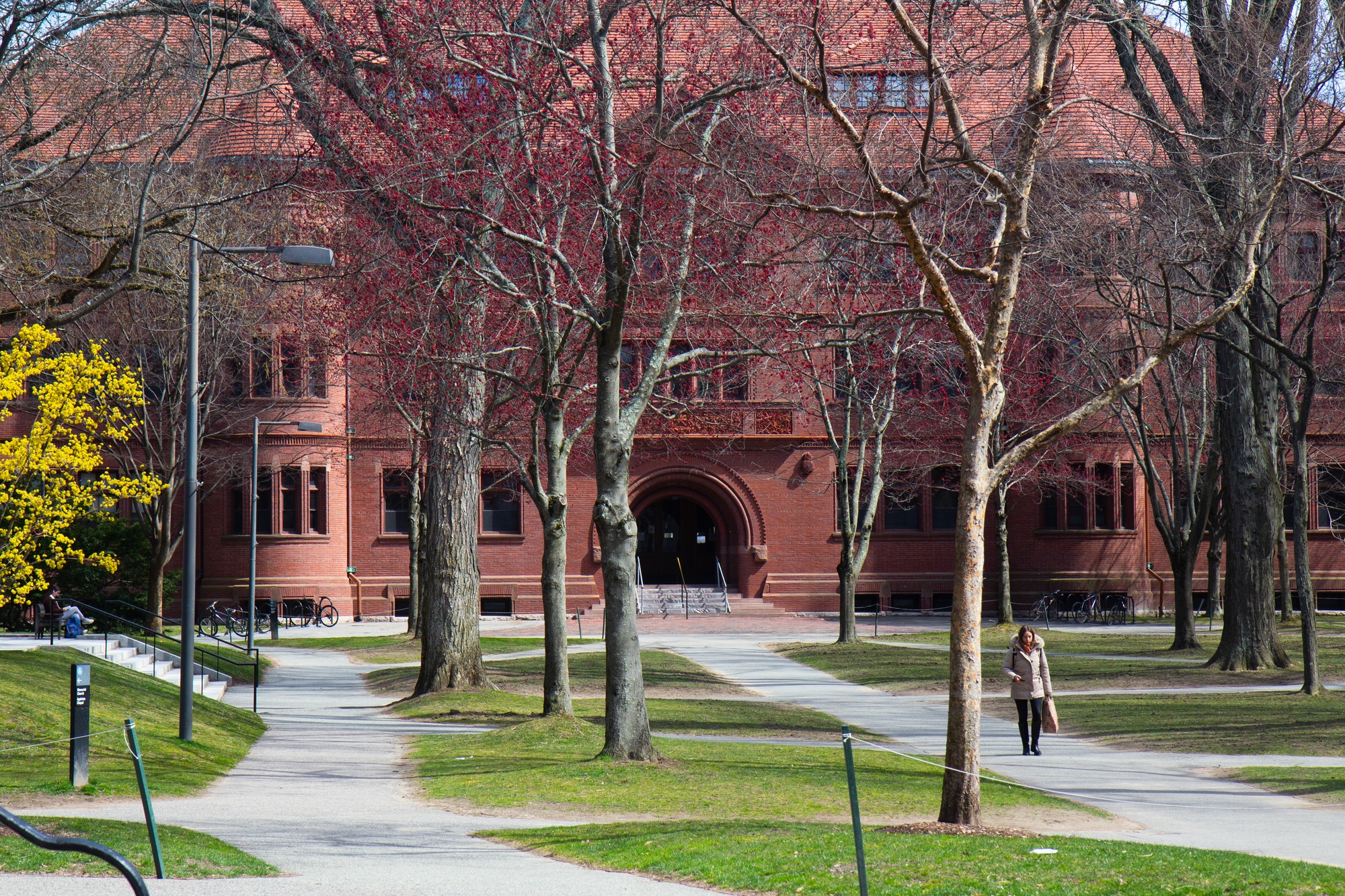 Former Birzeit President Accuses Harvard of Bowing to Pressure by ...