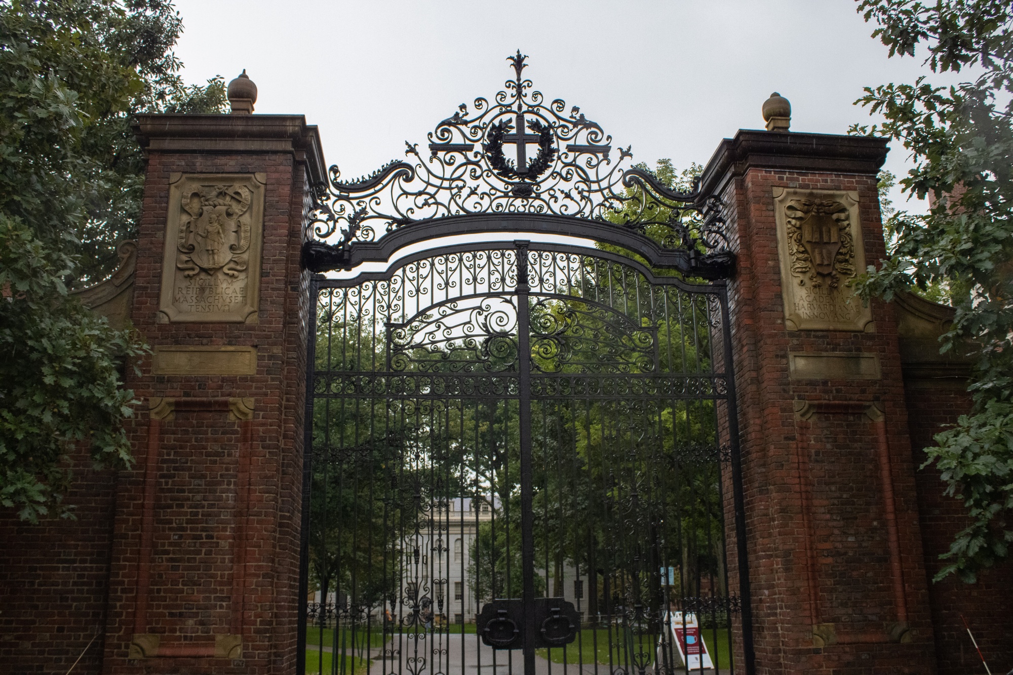 Prominent Harvard Affiliates Sent Birthday Letters to Jeffrey Epstein ...