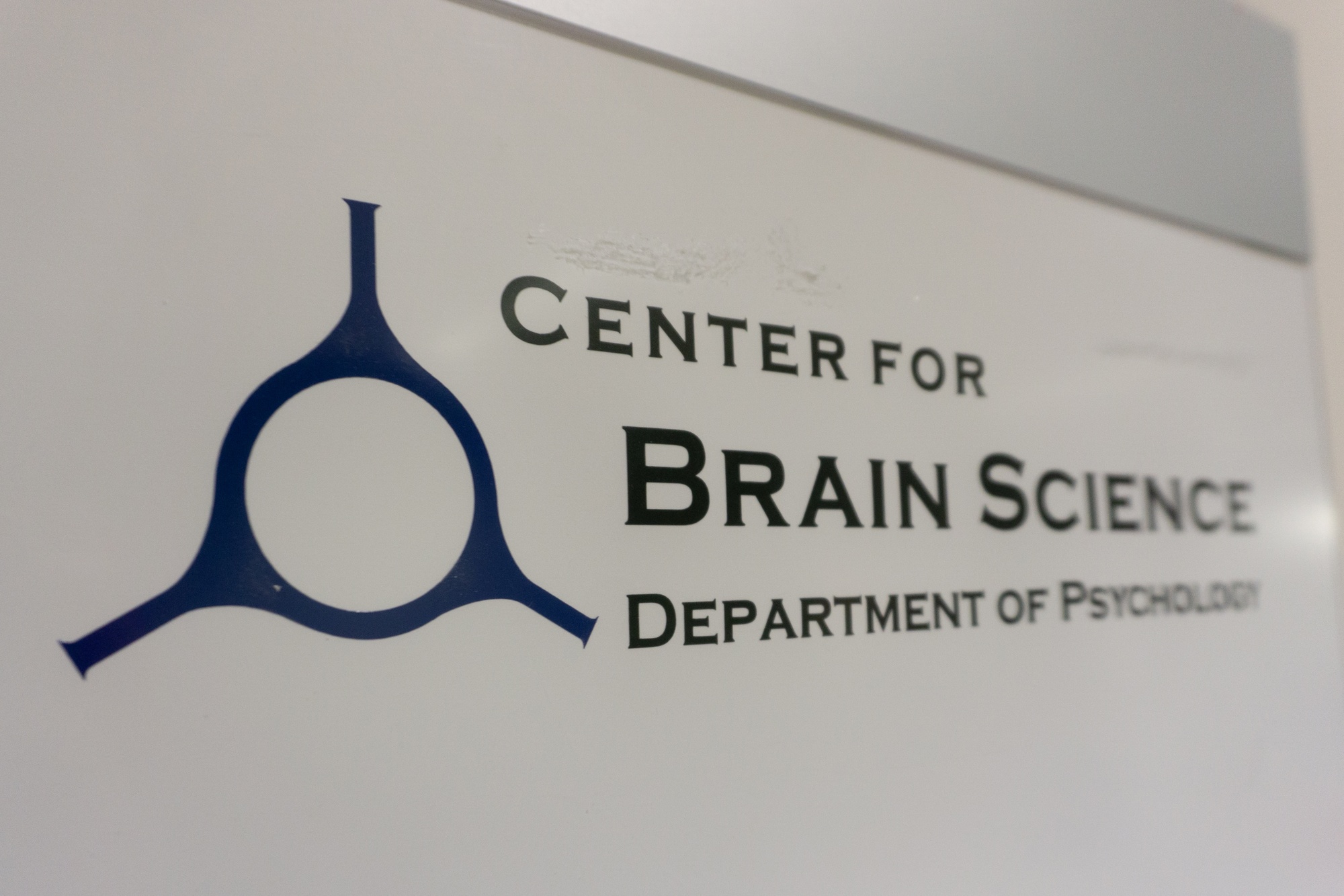 Harvard Center for Brain Science Receives Up to $1.7 Million Gift from ...