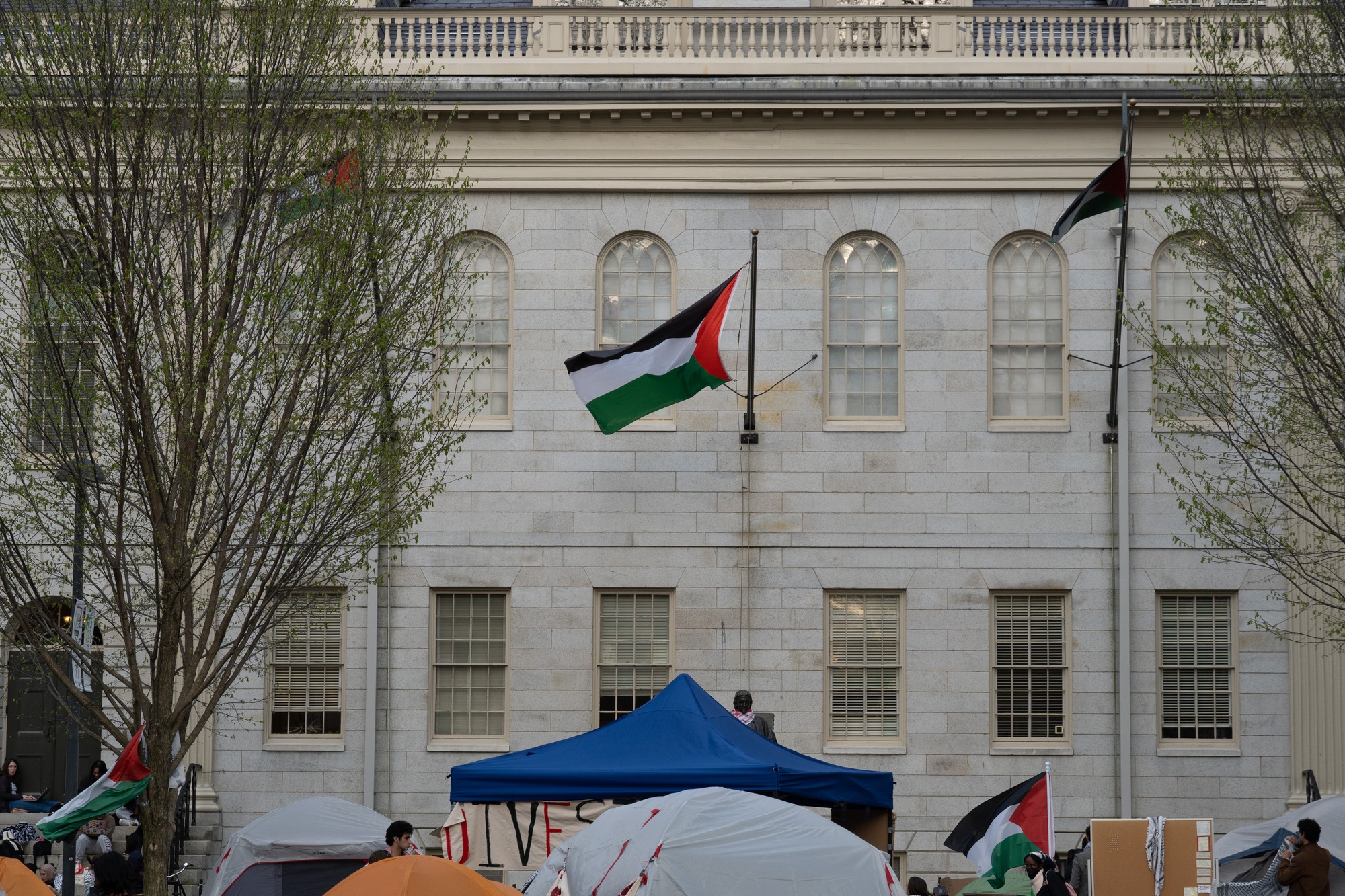 Encampment Protesters Briefly Raise 3 Palestinian Flags Over Harvard ...