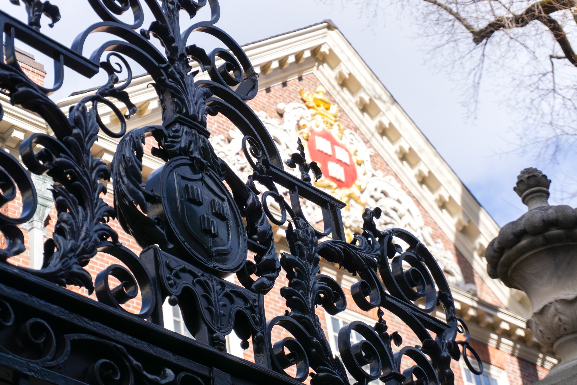 73 Harvard Undergrads Win 2024 Hoopes Prize for Senior Theses | News ...
