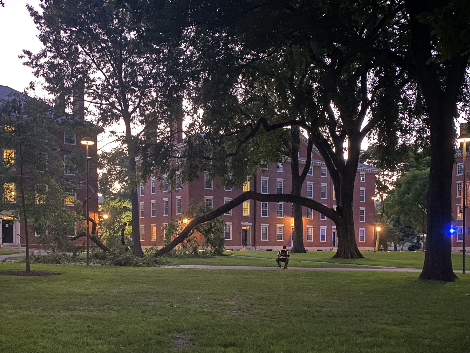 Large Tree Branch Falls on Footpath in Harvard Yard, Narrowly Avoids ...
