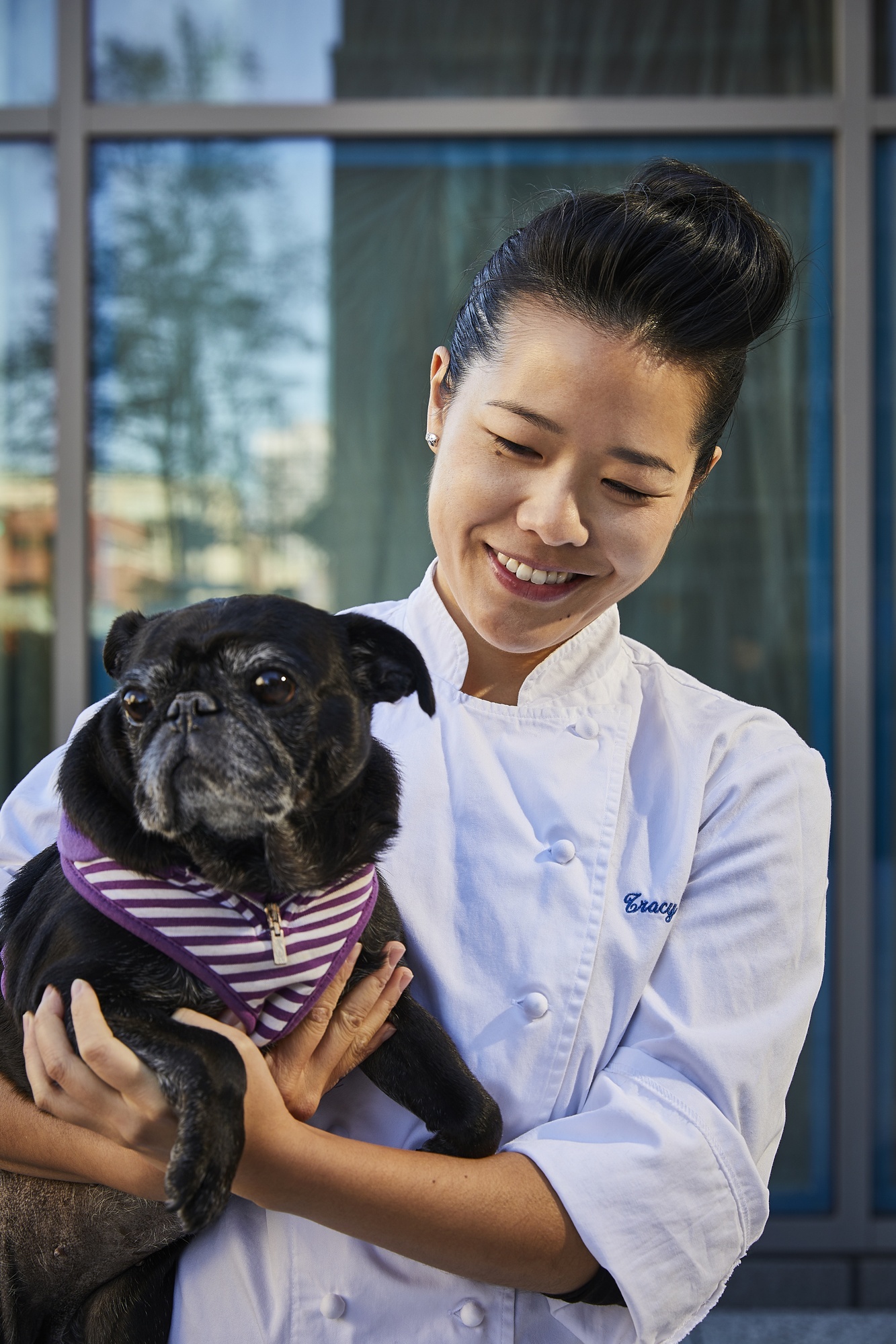 Artist Profile: Tracy Chang on Food, Community, and Pugs | Arts | The ...