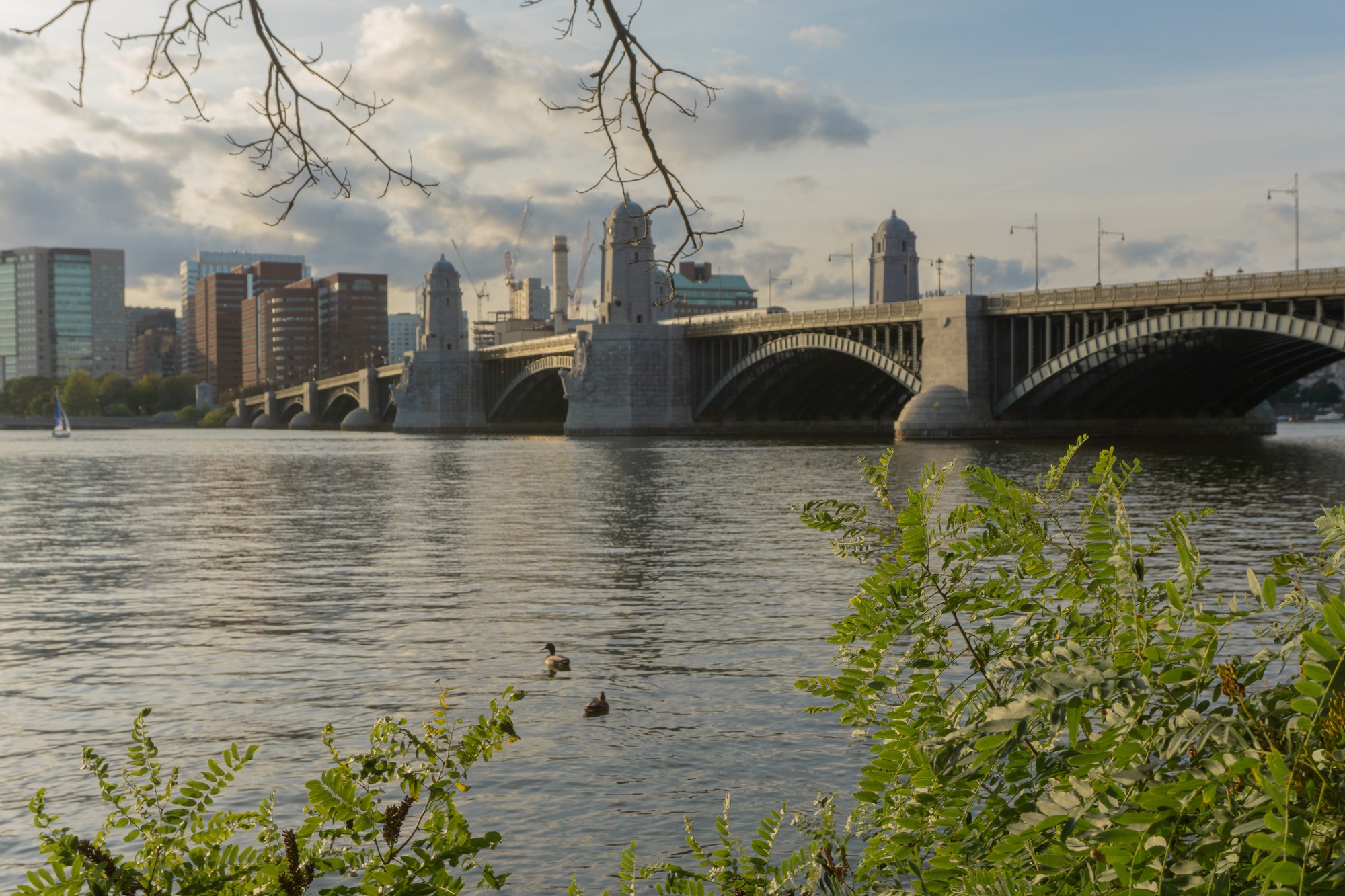 From Cod to Cream Pie: What Defines Boston’s Cuisine? | Arts | The ...