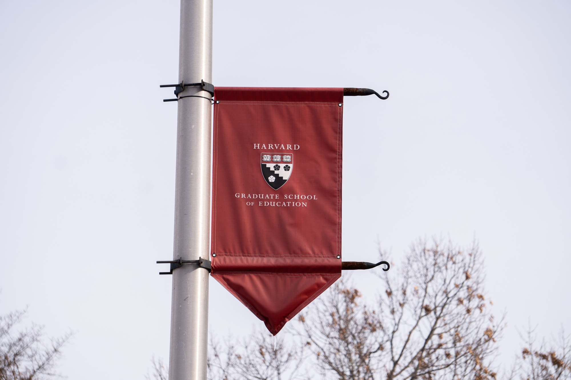 Harvard Vice Provost Encourages Controversial Discussions in Classrooms ...