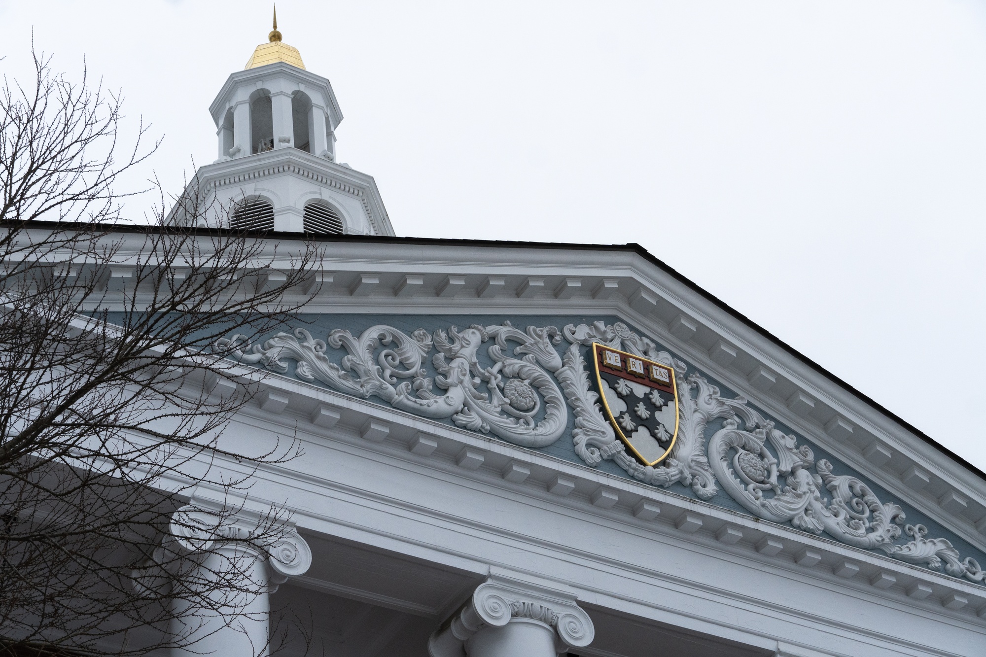 Twenty25 Ventures To Fund Founders in HBS Class of 2025 | News | The ...