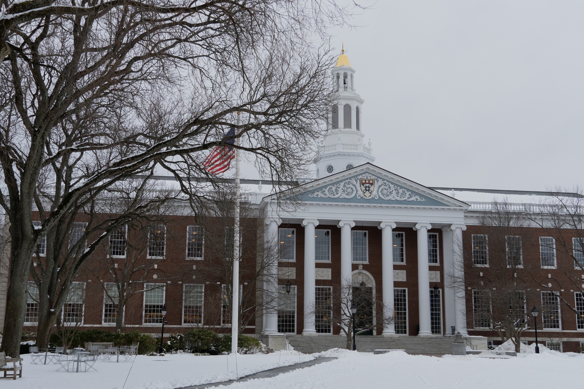 Amy Bernstein Named Harvard Business Review Editor in Chief | News ...