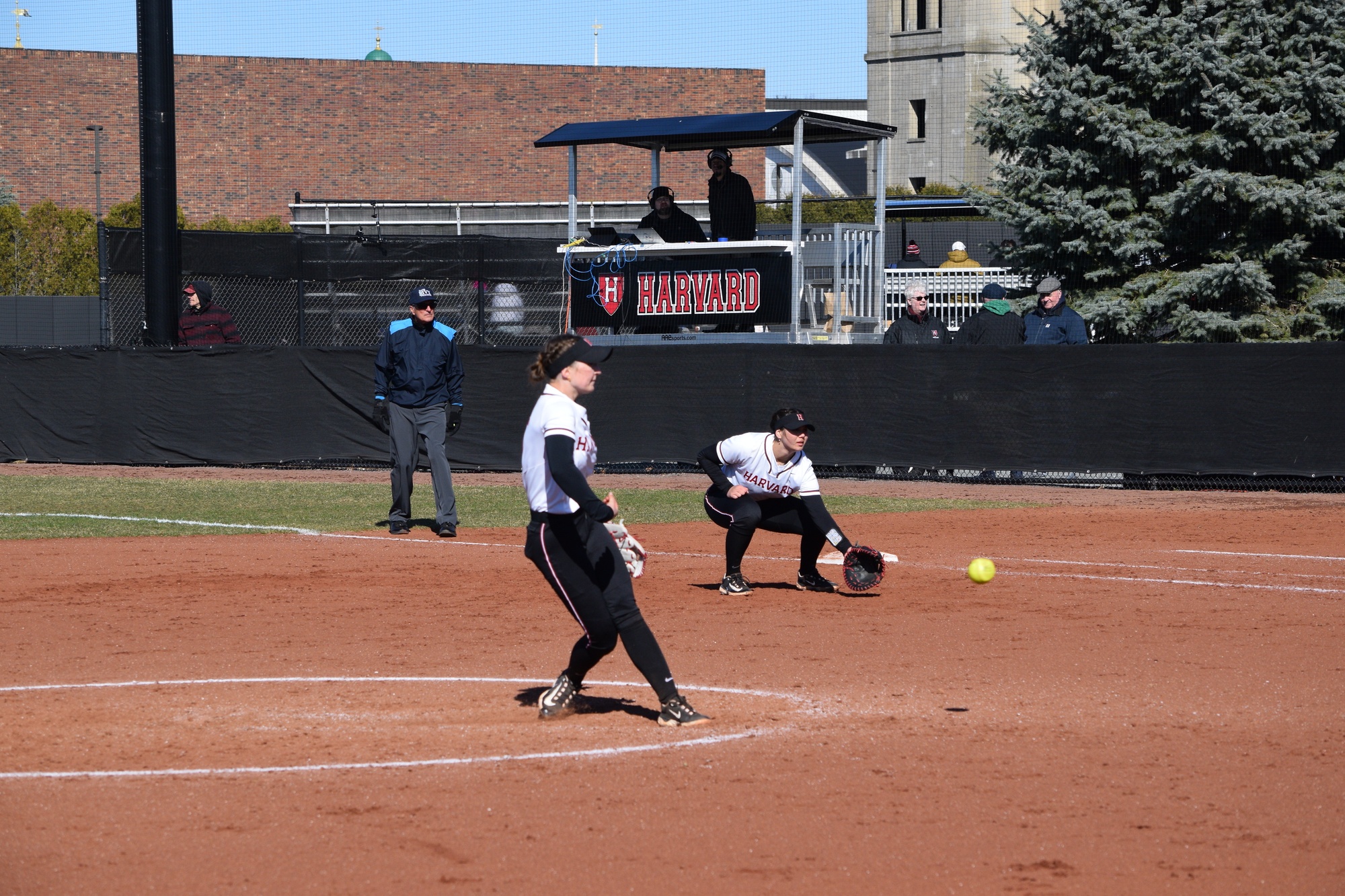 Harvard Softball Finishes Preseason Triumphantly, Heads into Conference ...