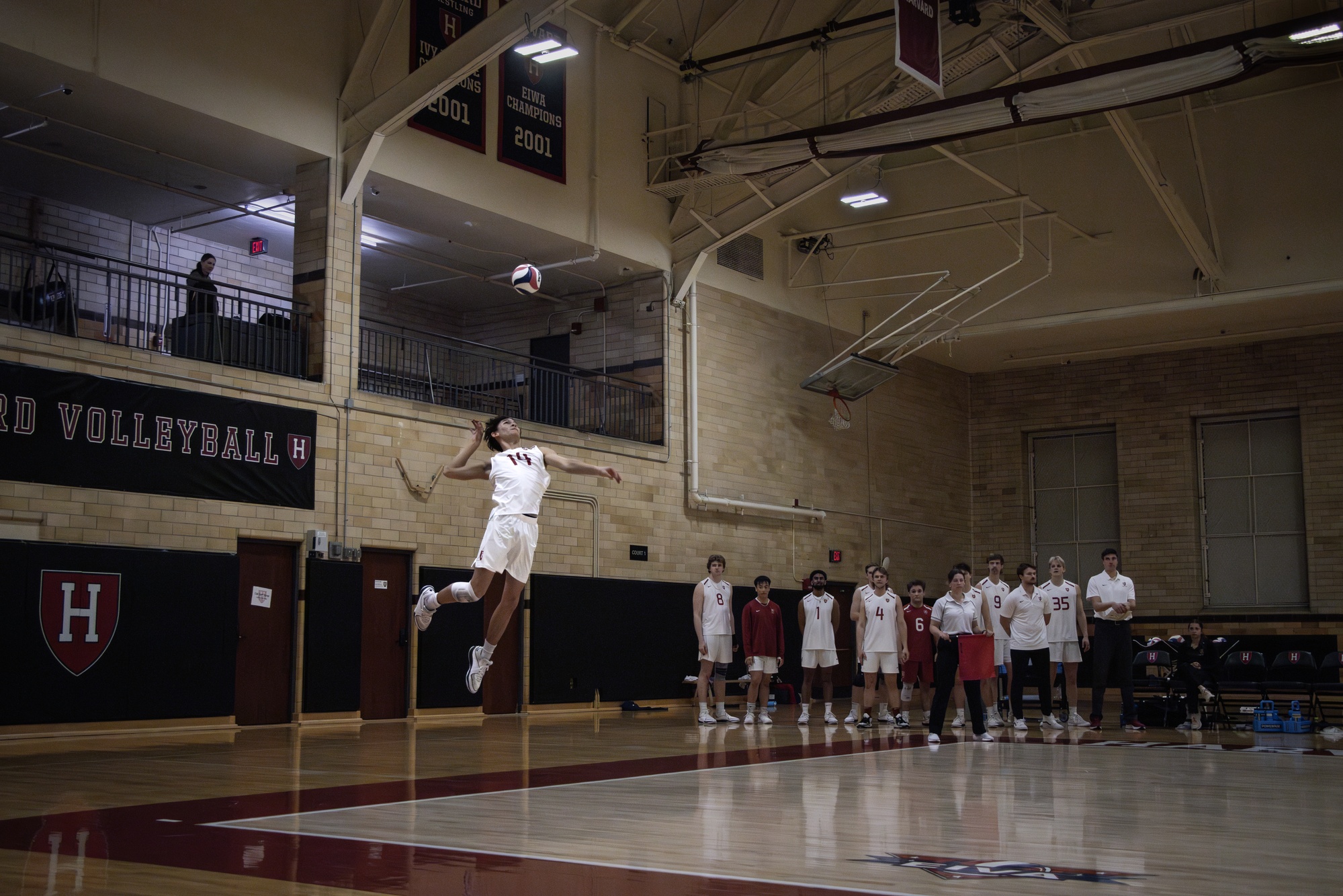 Harvard Falls to No. 6 BYU Twice in Spring Break Competition | Sports ...