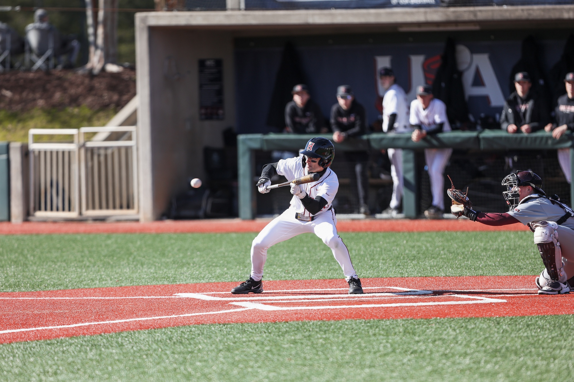 Harvard Baseball Shows Grit in Series Loss Against Michigan State ...