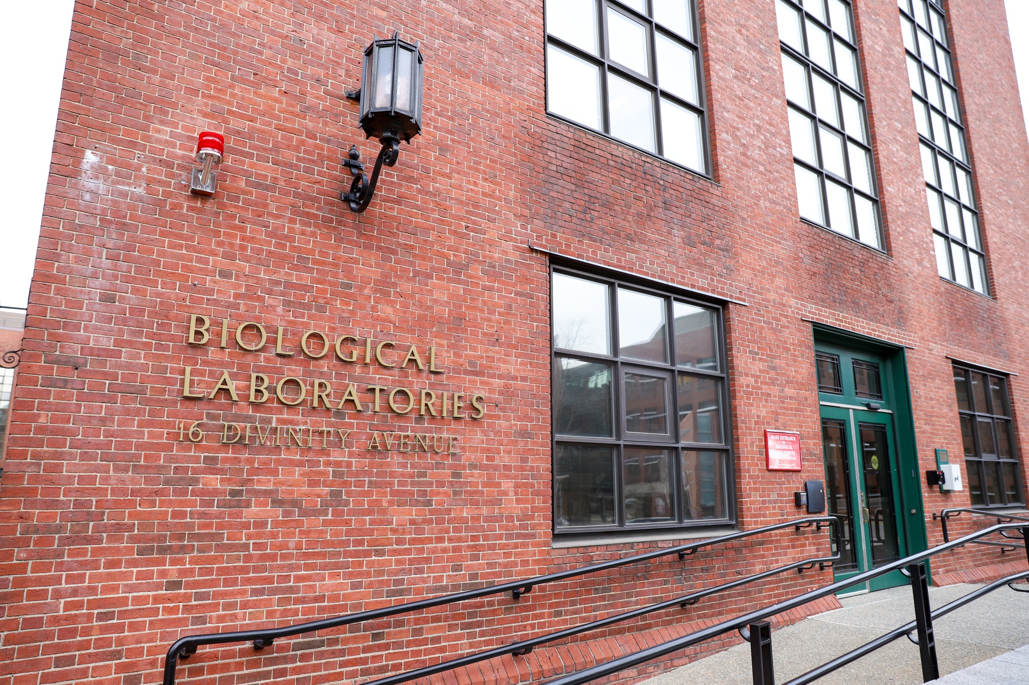 Harvard Study Identifies Socializing as a ‘Survival Need’ in Mice ...