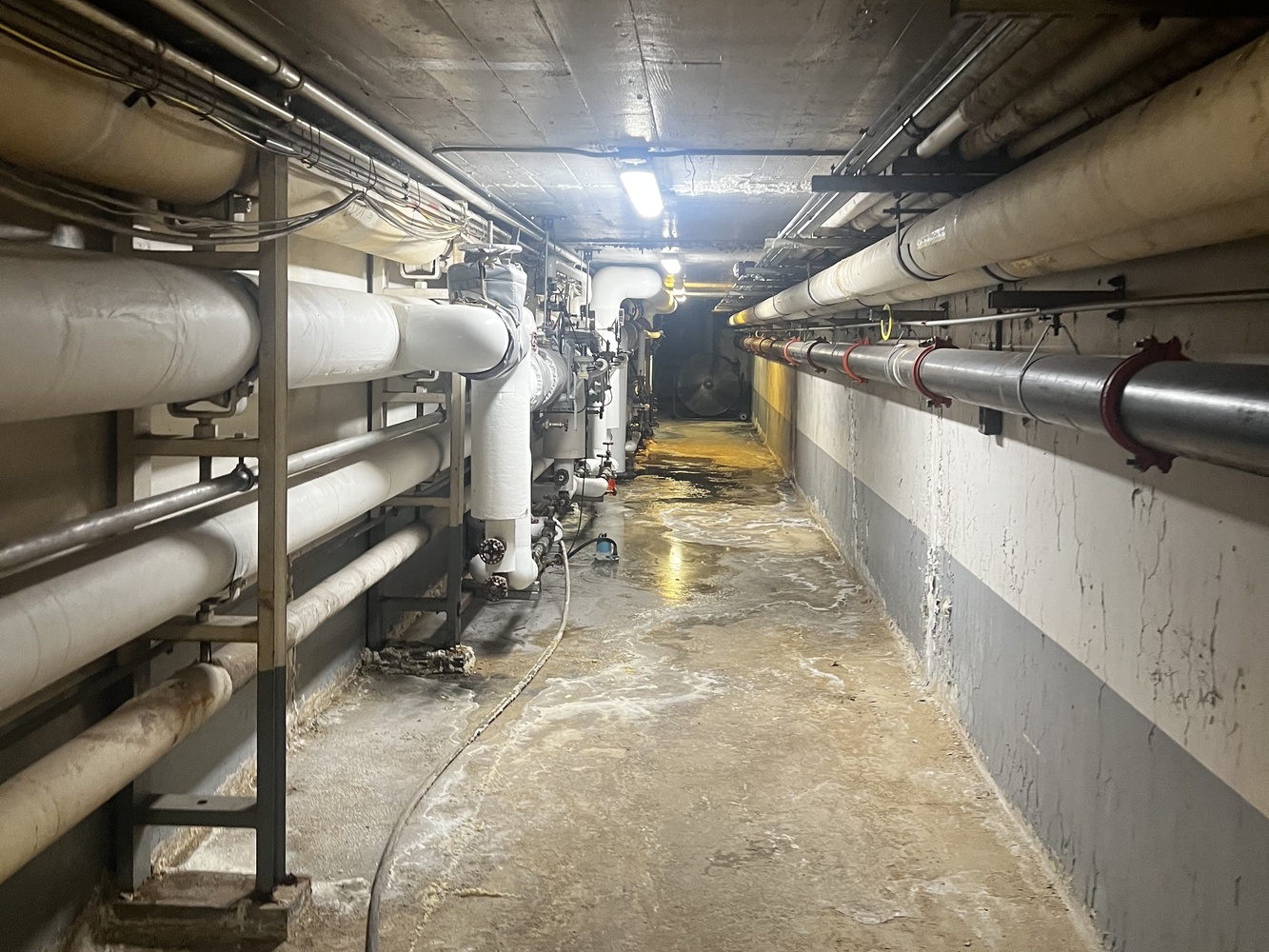 Pipes in the HUDS Tunnels | Flyby | The Harvard Crimson