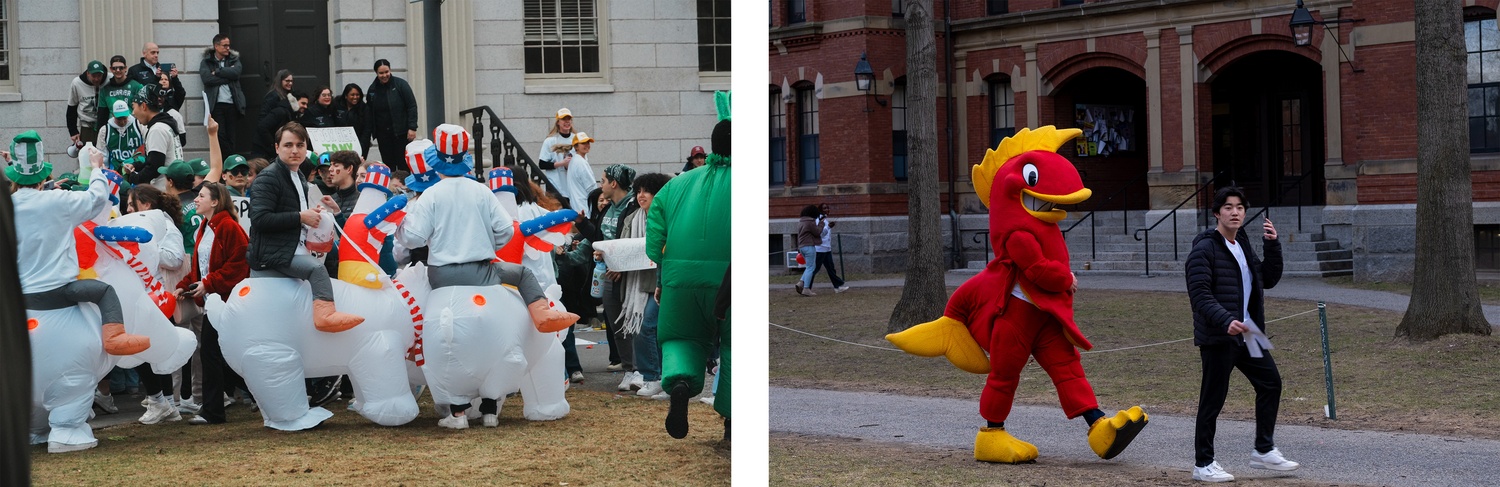 Pfoho Polar Bears and Cabot Fish Mascot | Multimedia | The Harvard Crimson