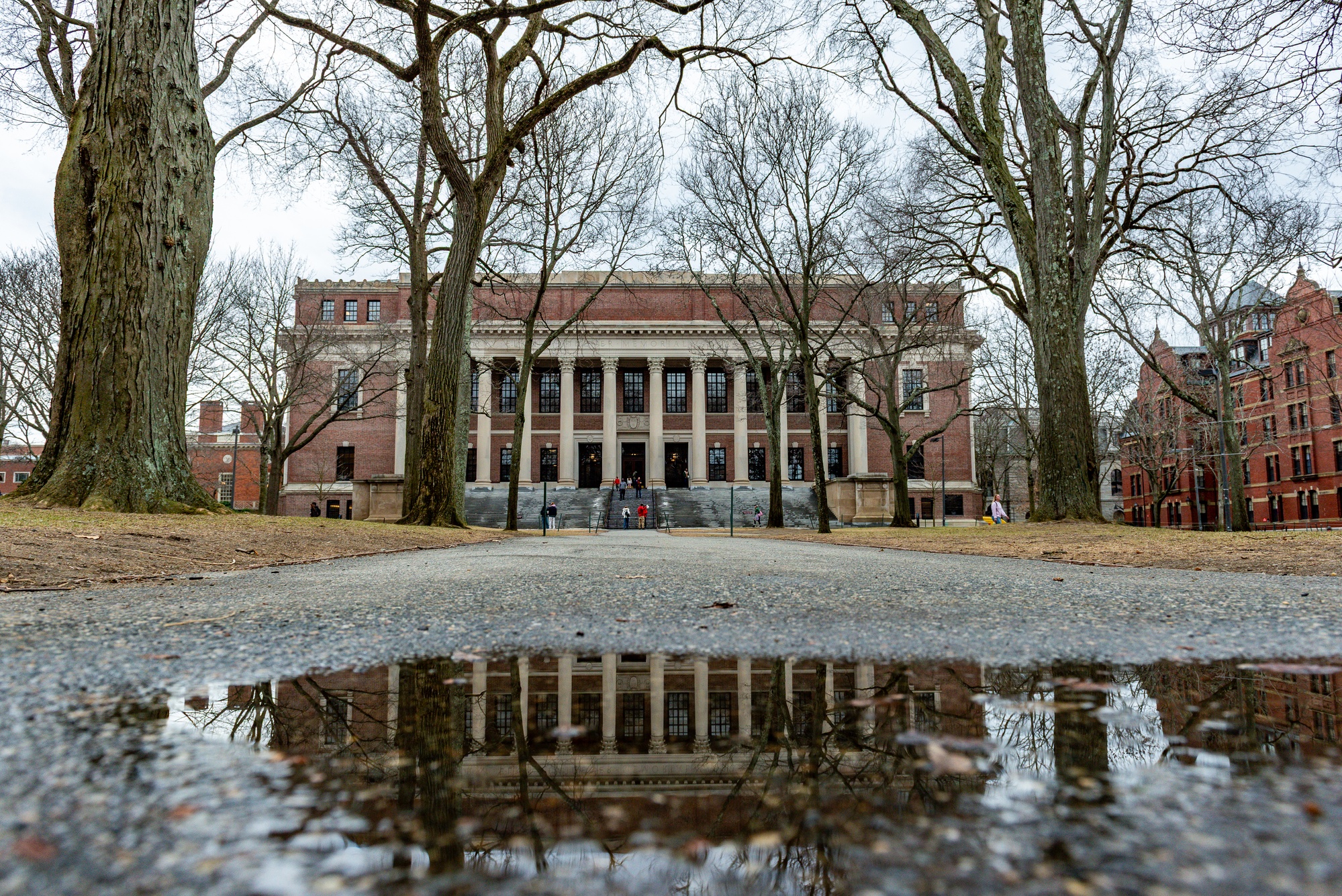 DEI May Have Failed at Harvard. So Will the Rebrand. | Opinion | The ...