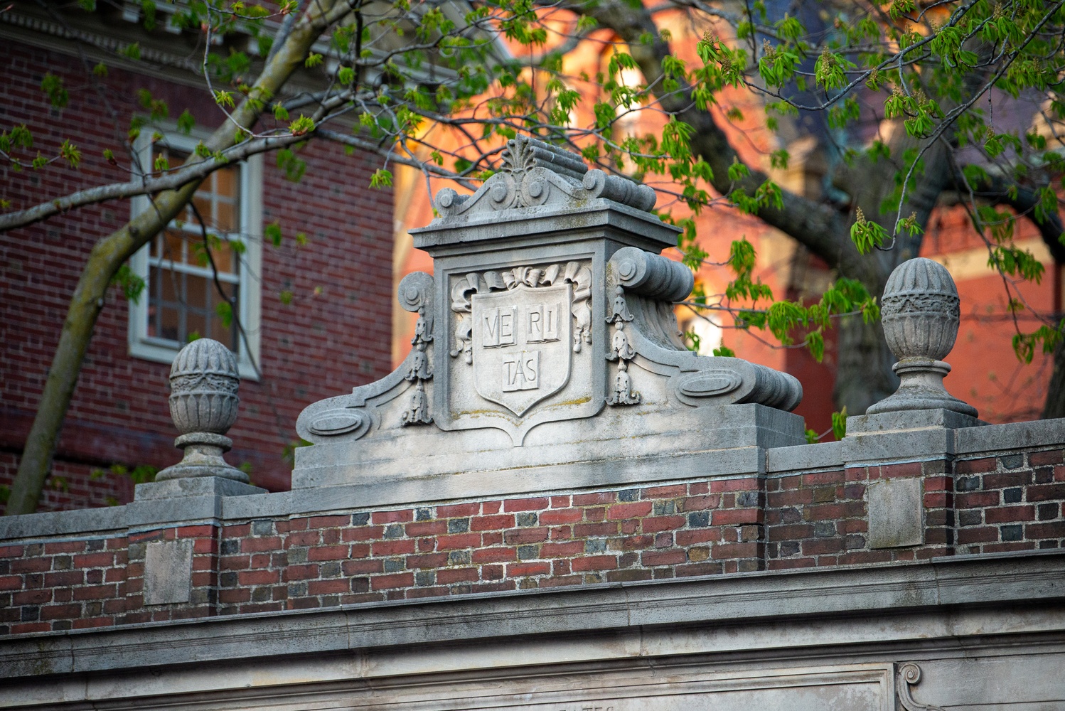 Veritas Shield Above Gate | News | The Harvard Crimson